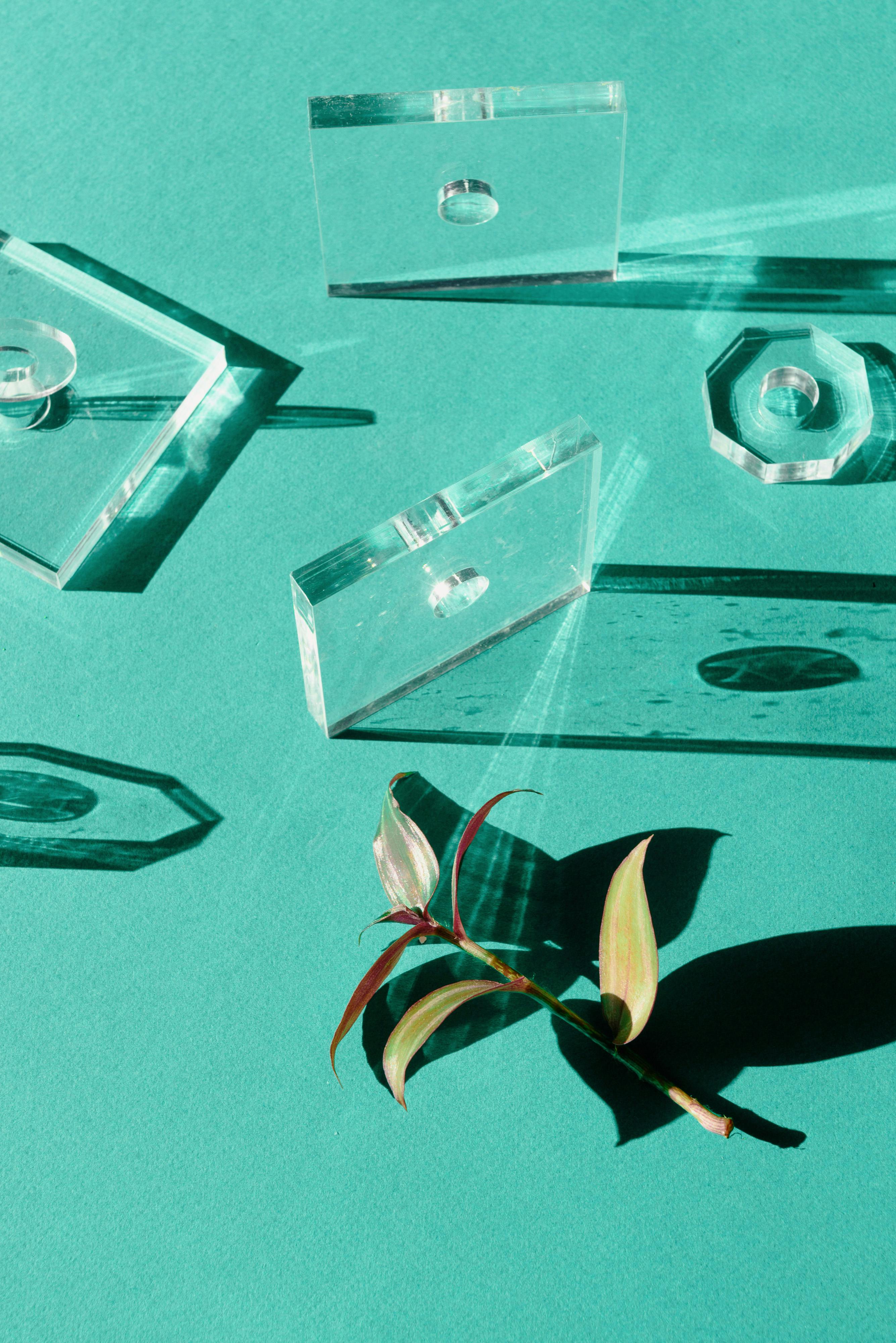 2,000+ Best See Through Photos · 100% Free Download · Pexels Stock Photos