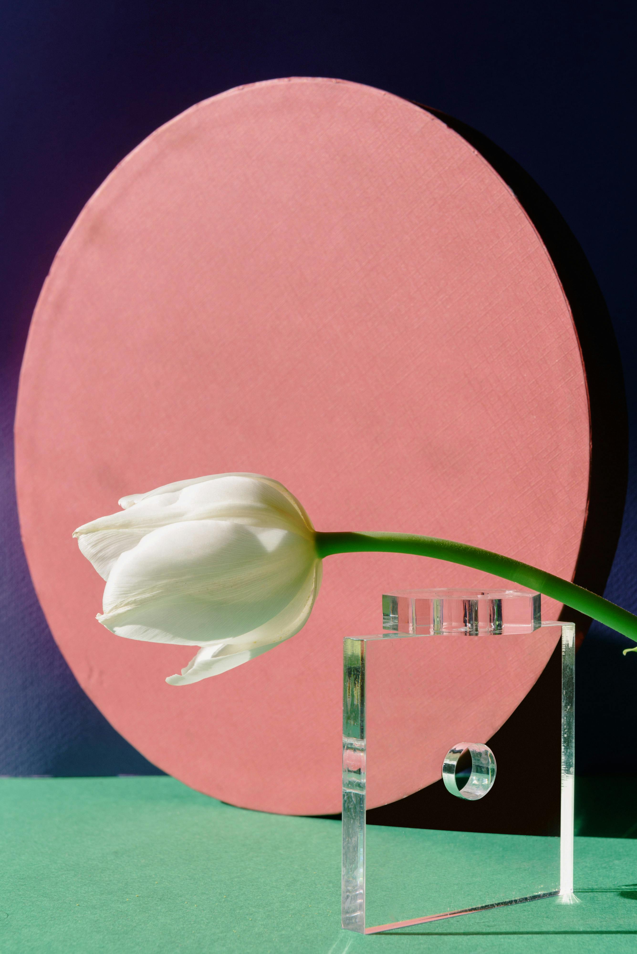 Different Geometric Shapes on White Surface · Free Stock Photo