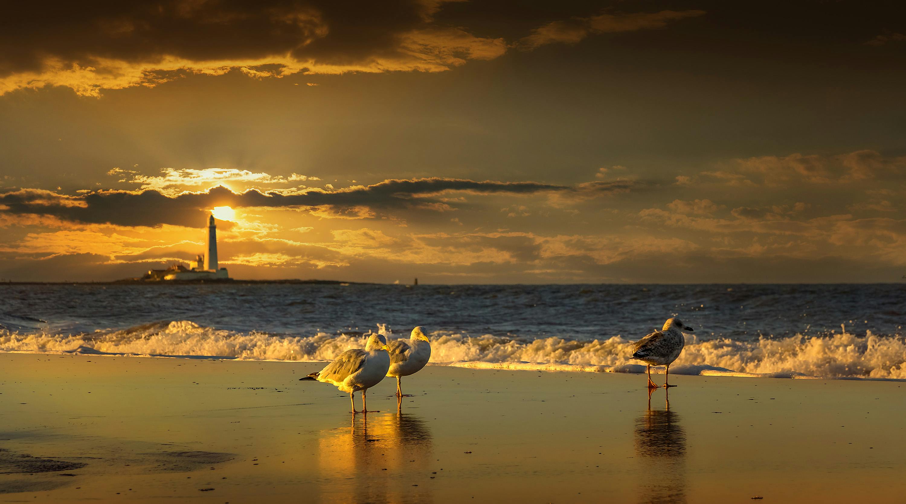 Lighthouse Animation Photos, Download The BEST Free Lighthouse ...