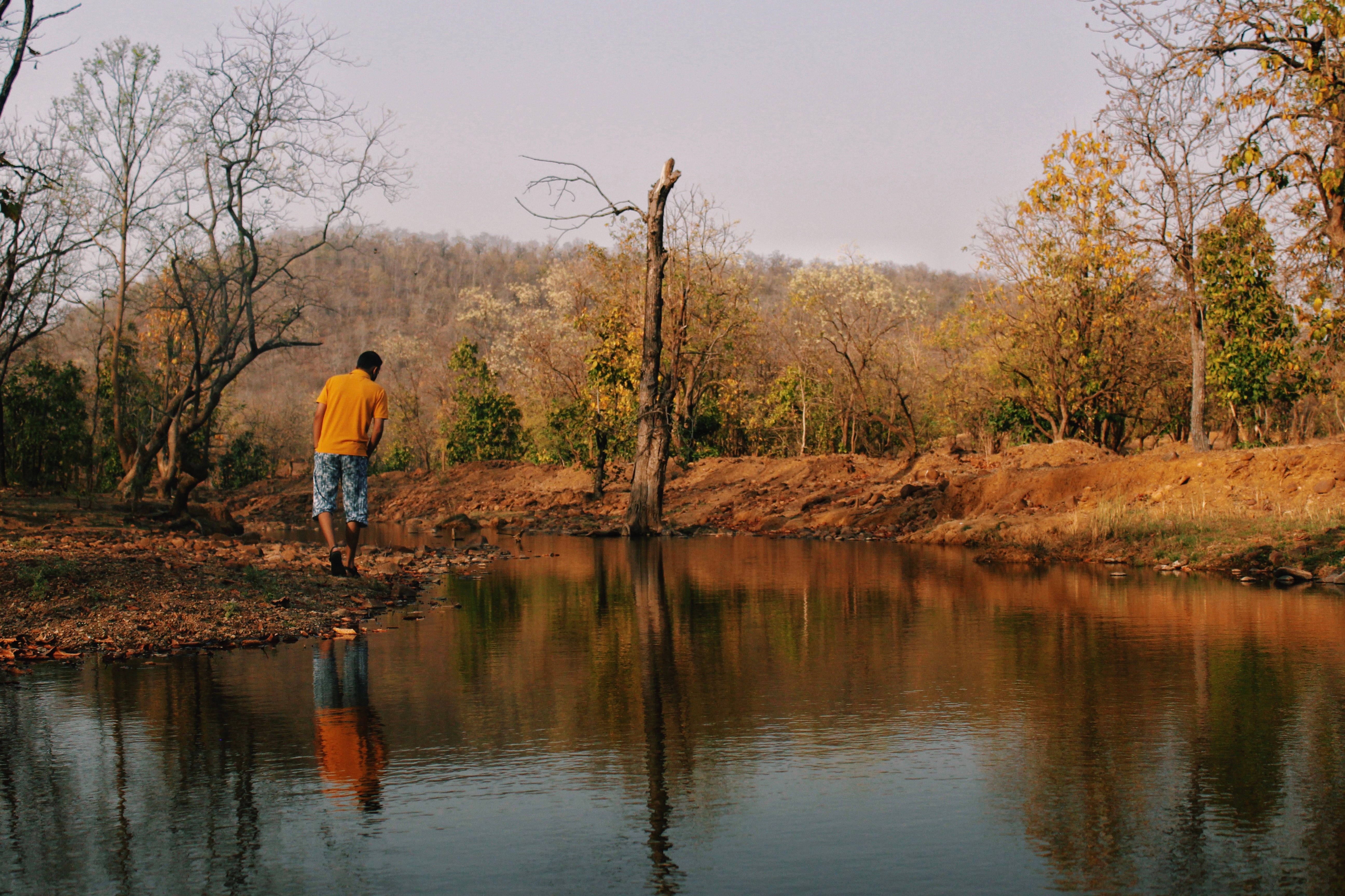 Back View of a Man Walking Along a River · Free Stock Photo