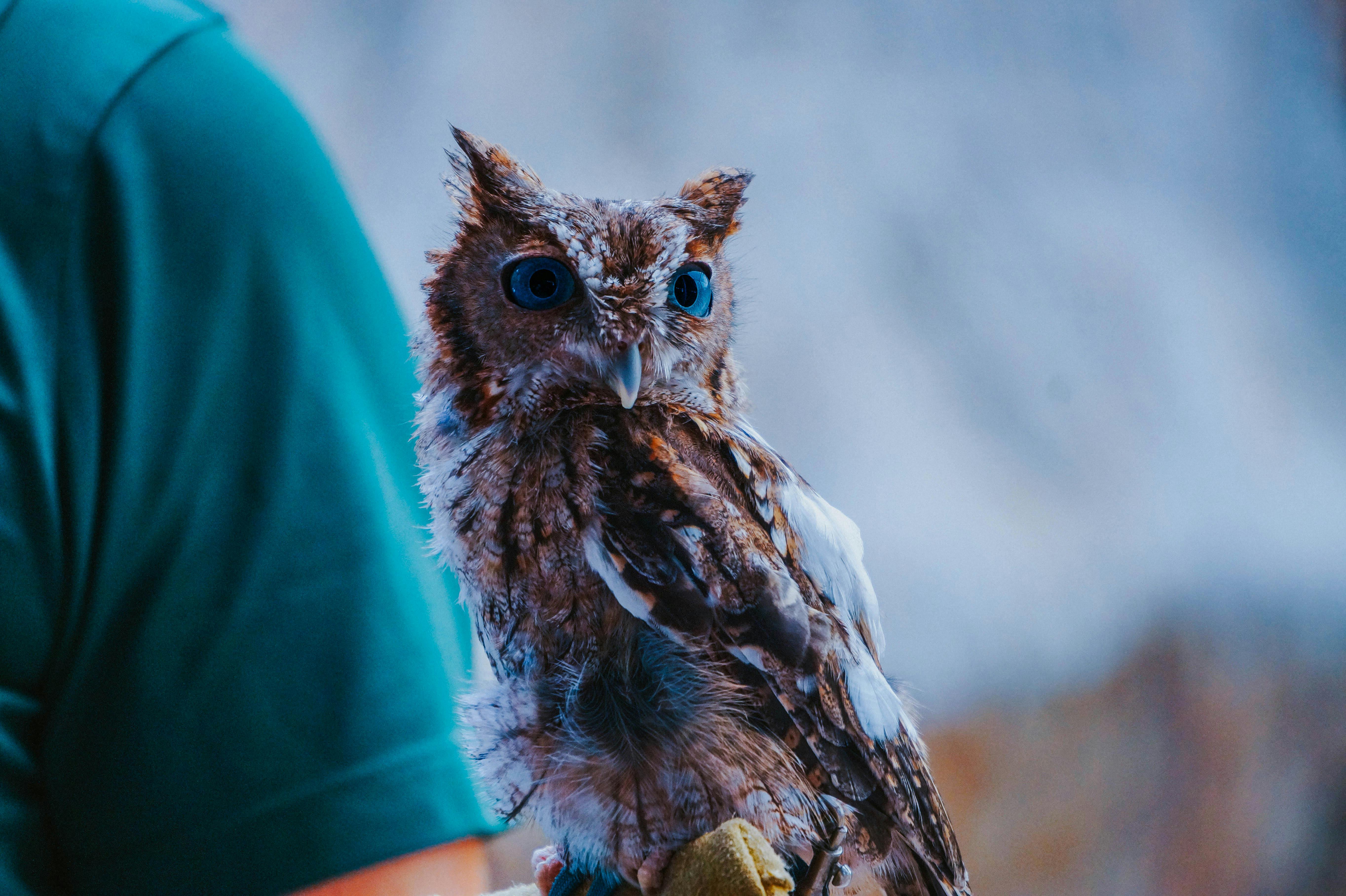 Maria Jose Fuentes – Fotografie