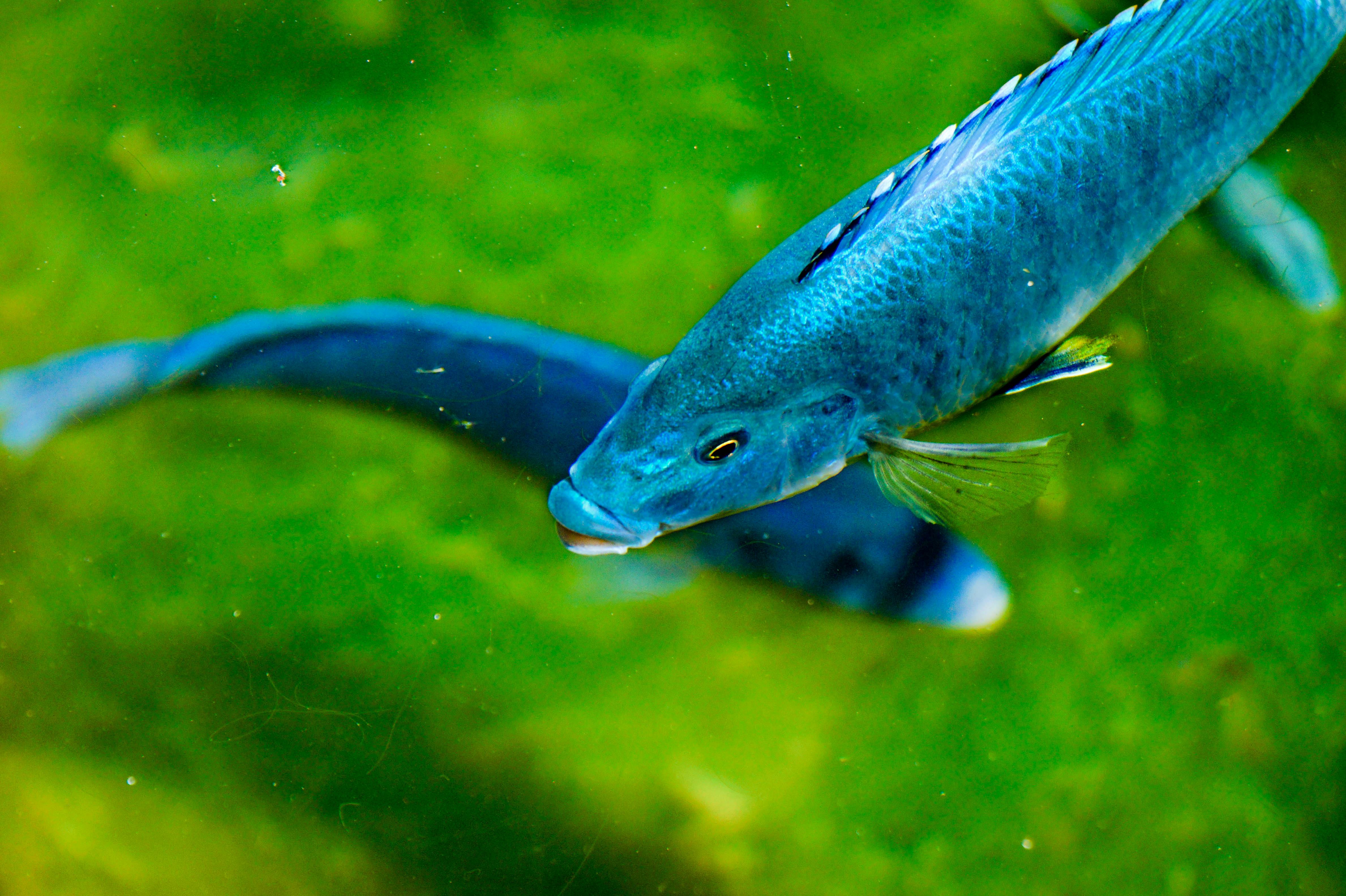 Maria Jose Fuentes – Fotografie