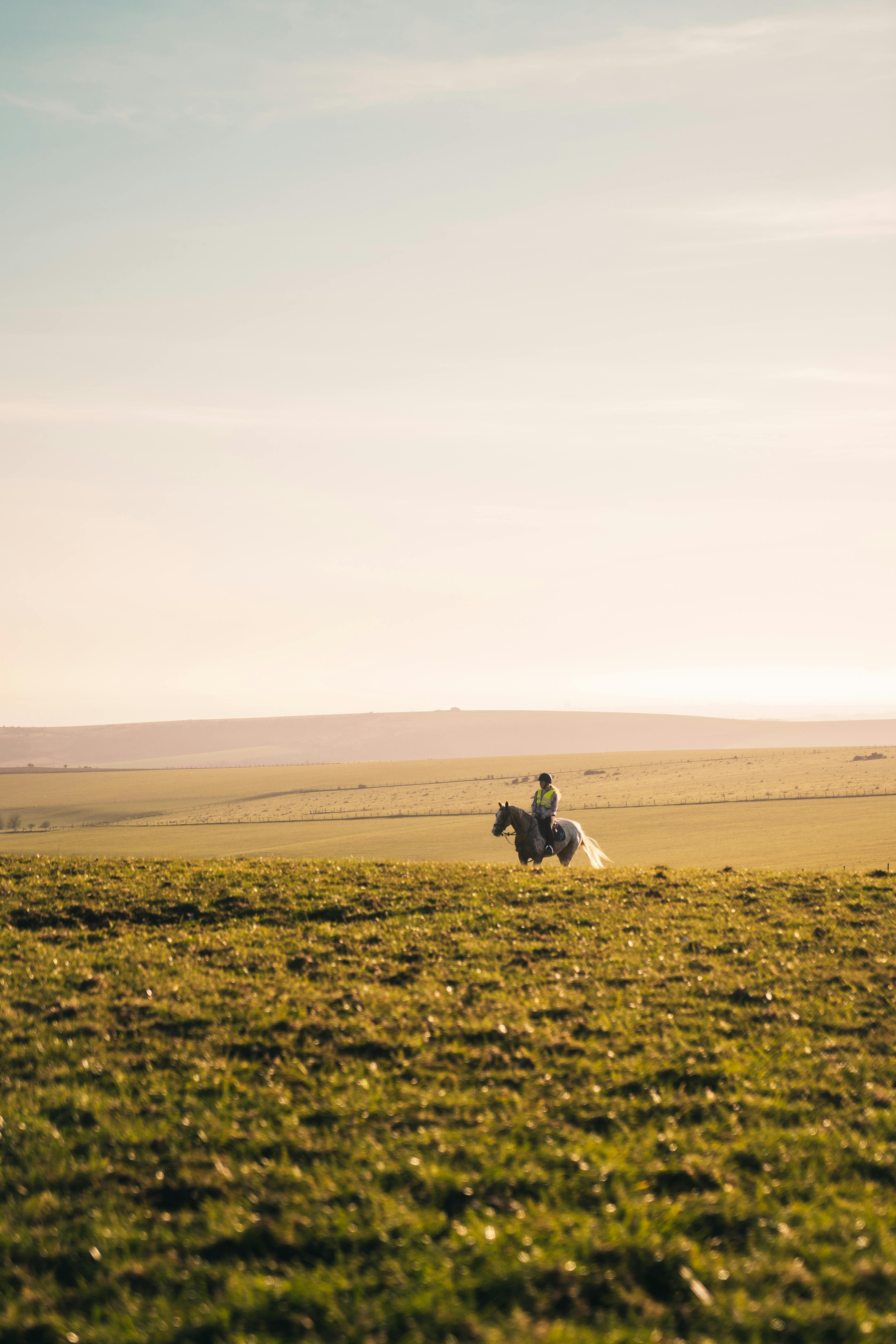 Person Riding a Horse · Free Stock Photo