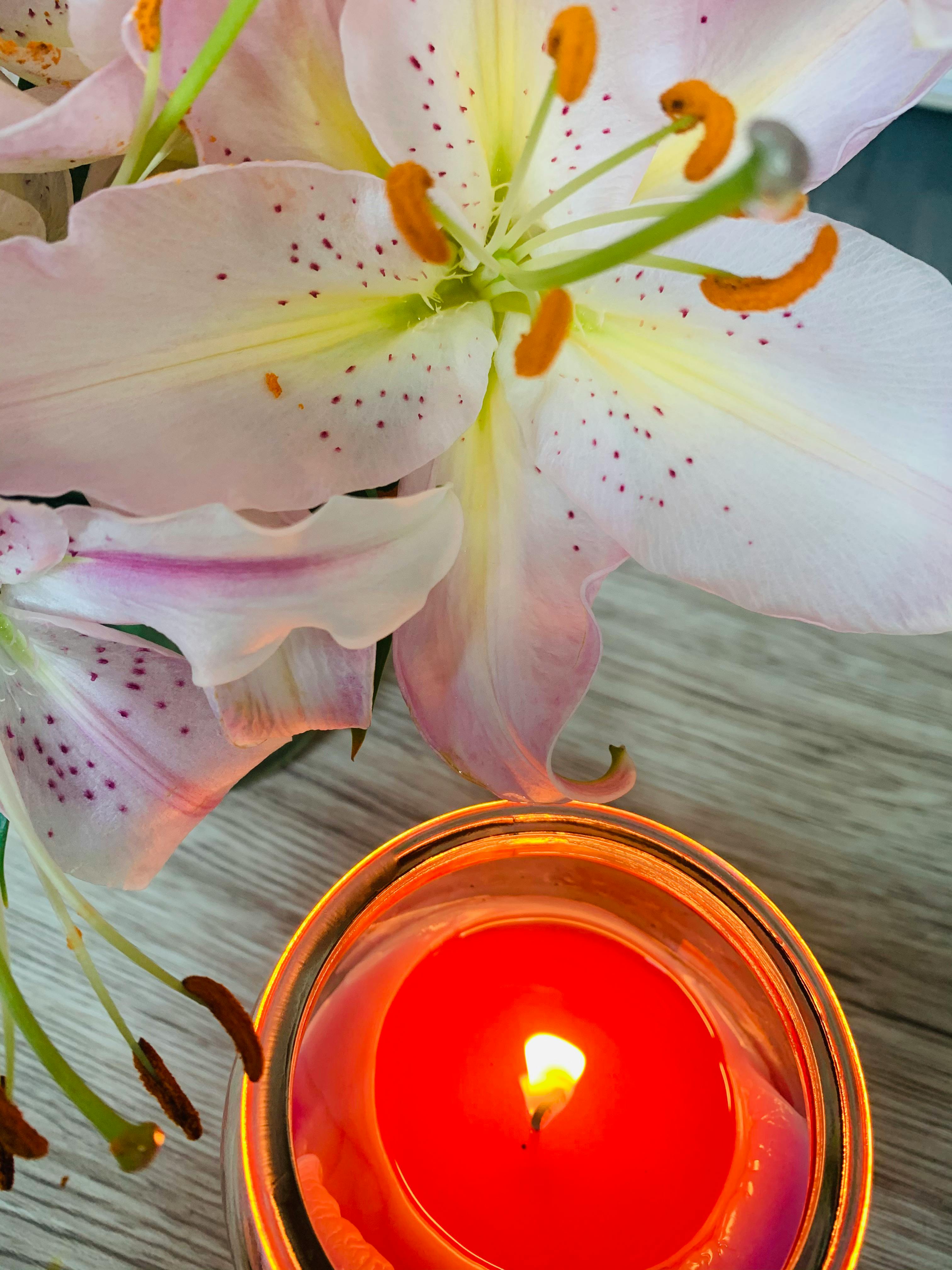 Ada Victoria - Photography