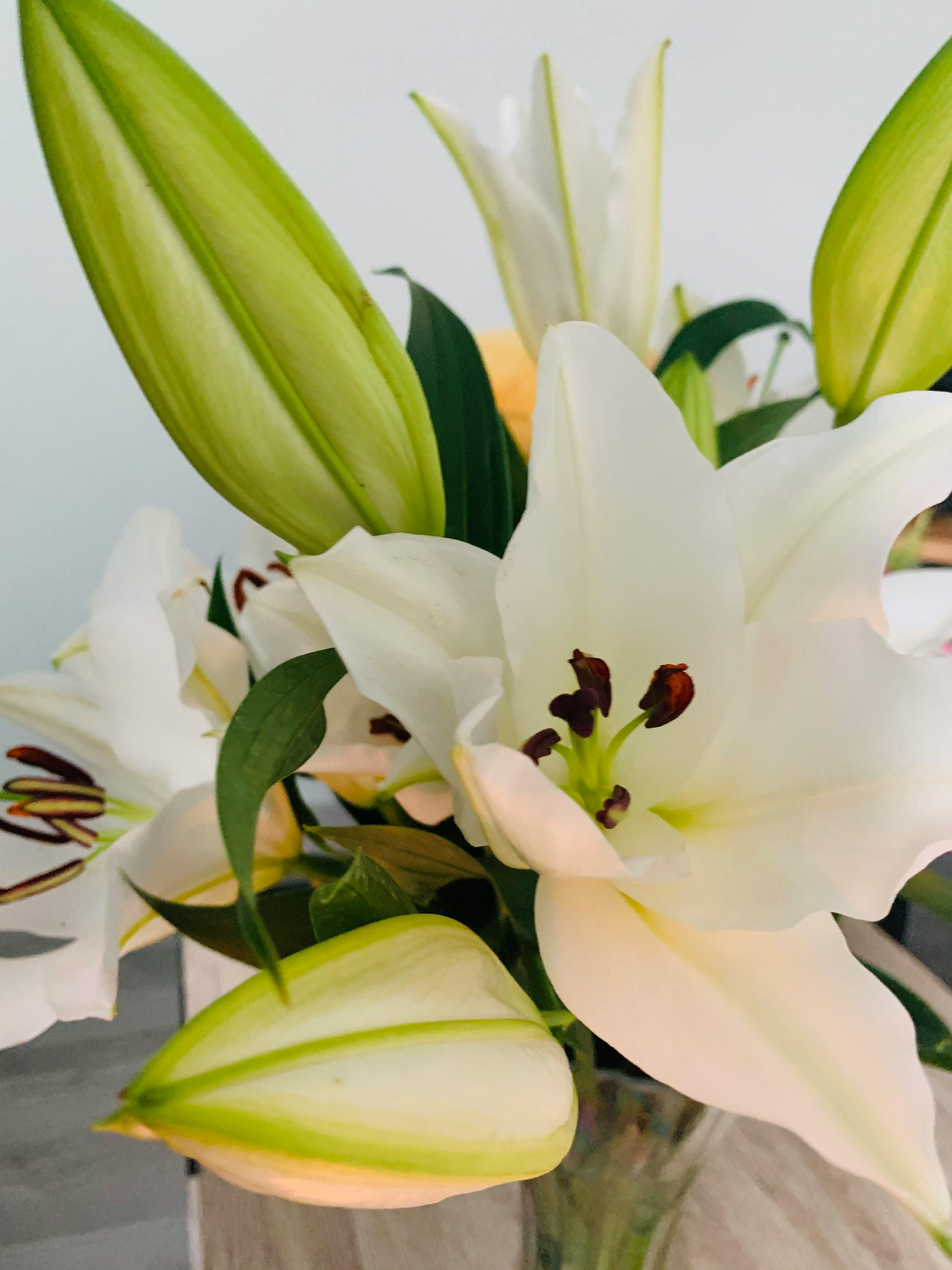 Ada Victoria - Photography