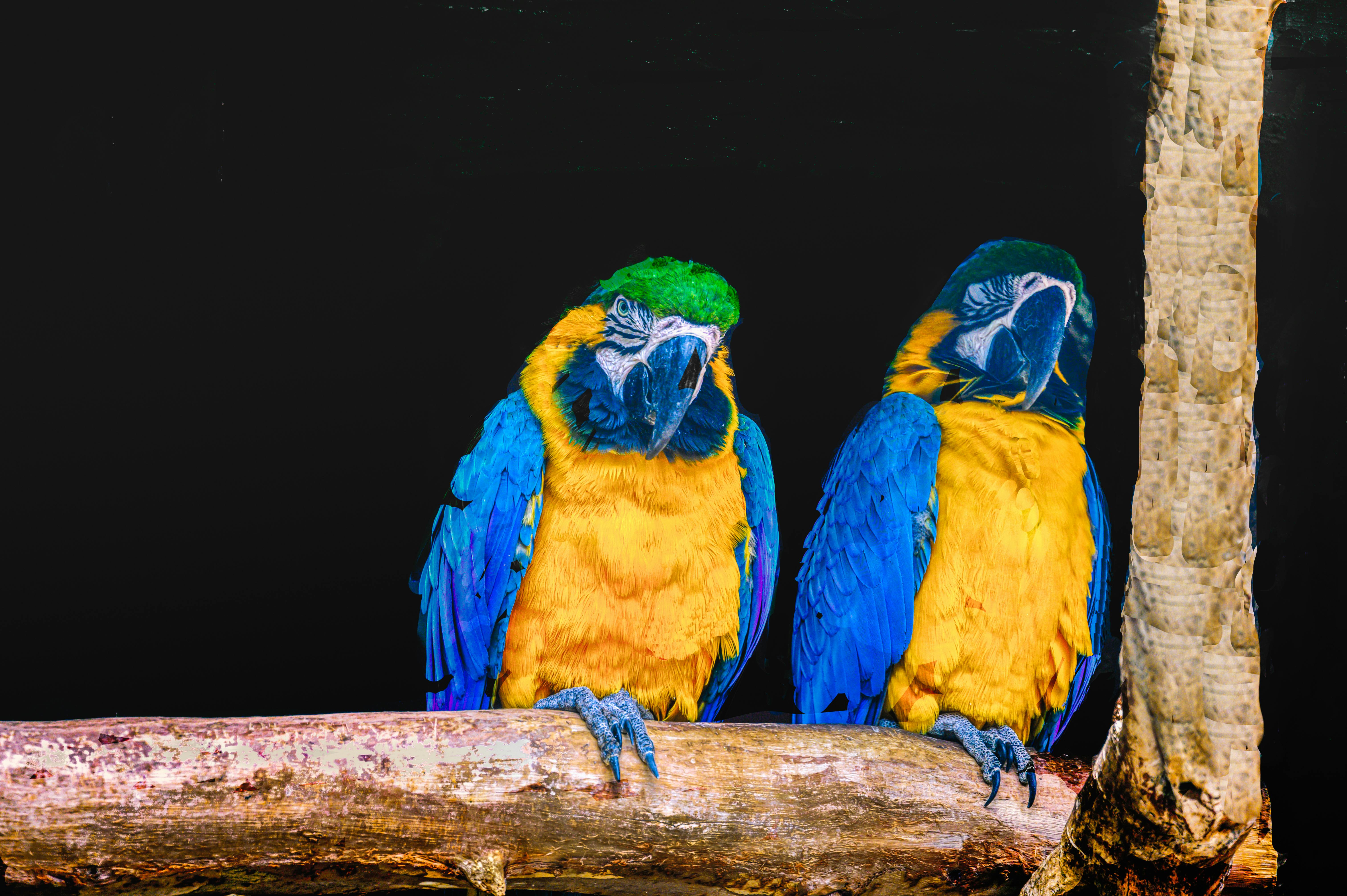 Avner Ben zvi - Photography