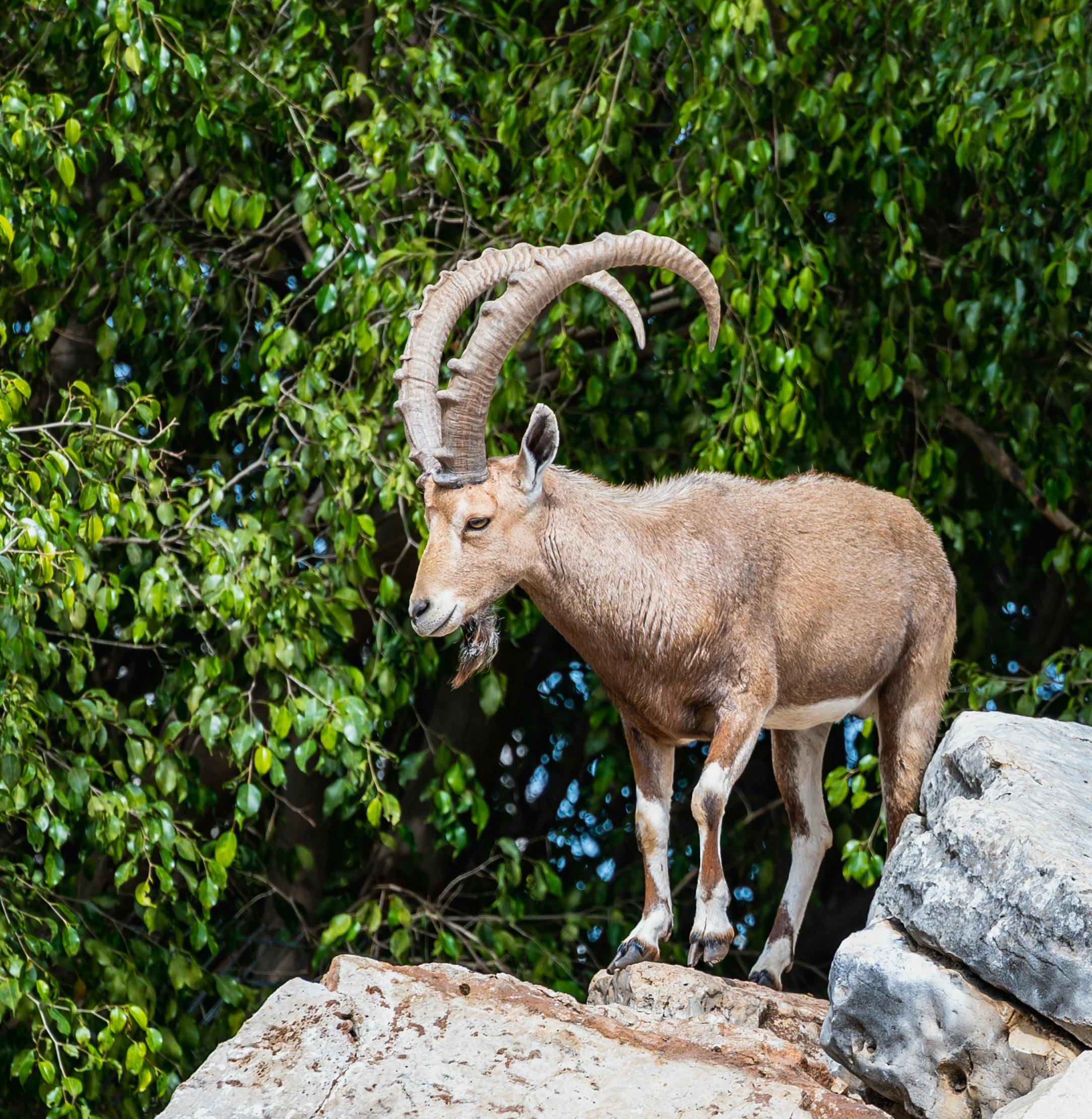 Avner Ben zvi - Photographie