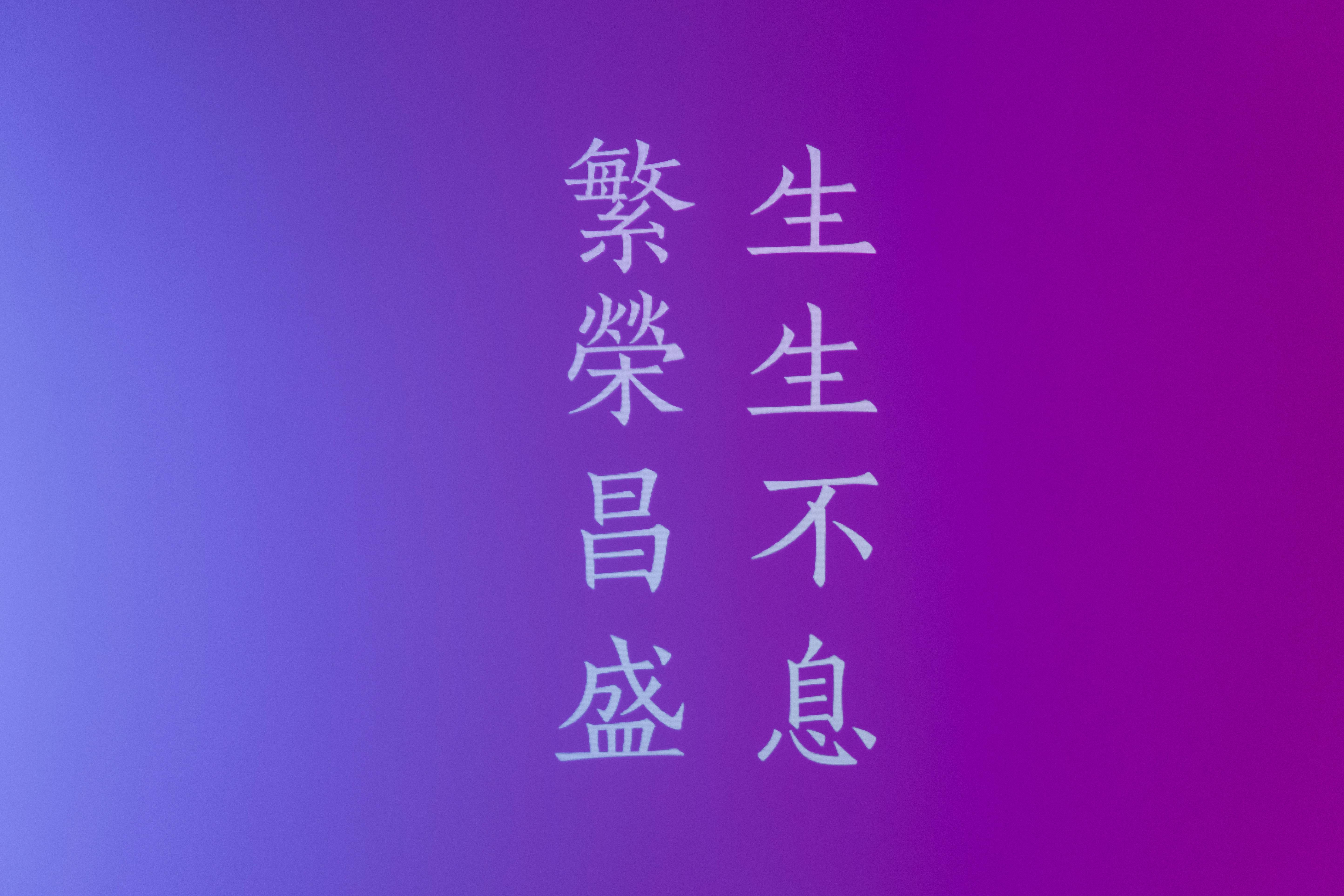 Chinese Text on Purple Background · Free Stock Photo