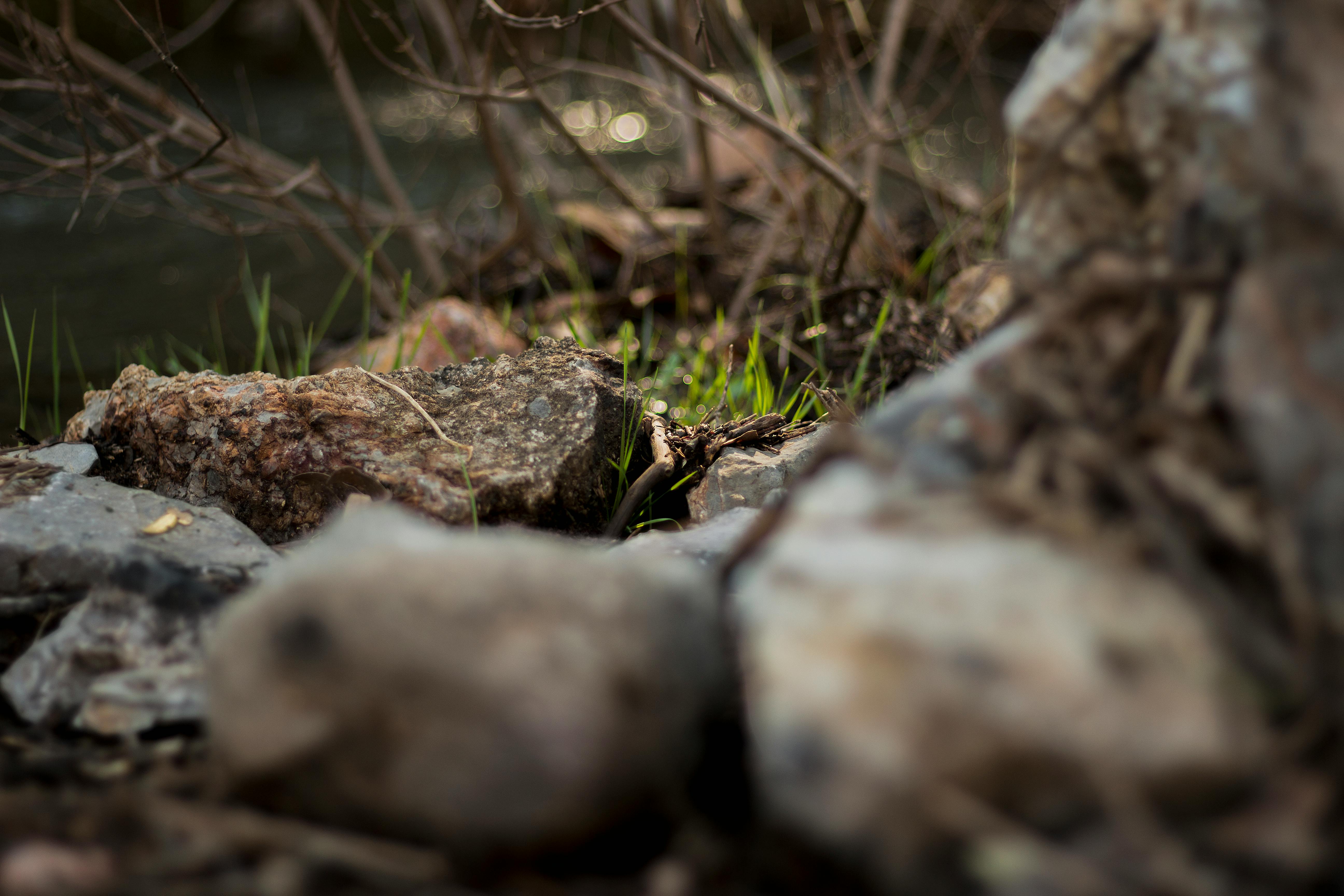 Brown Rock · Free Stock Photo