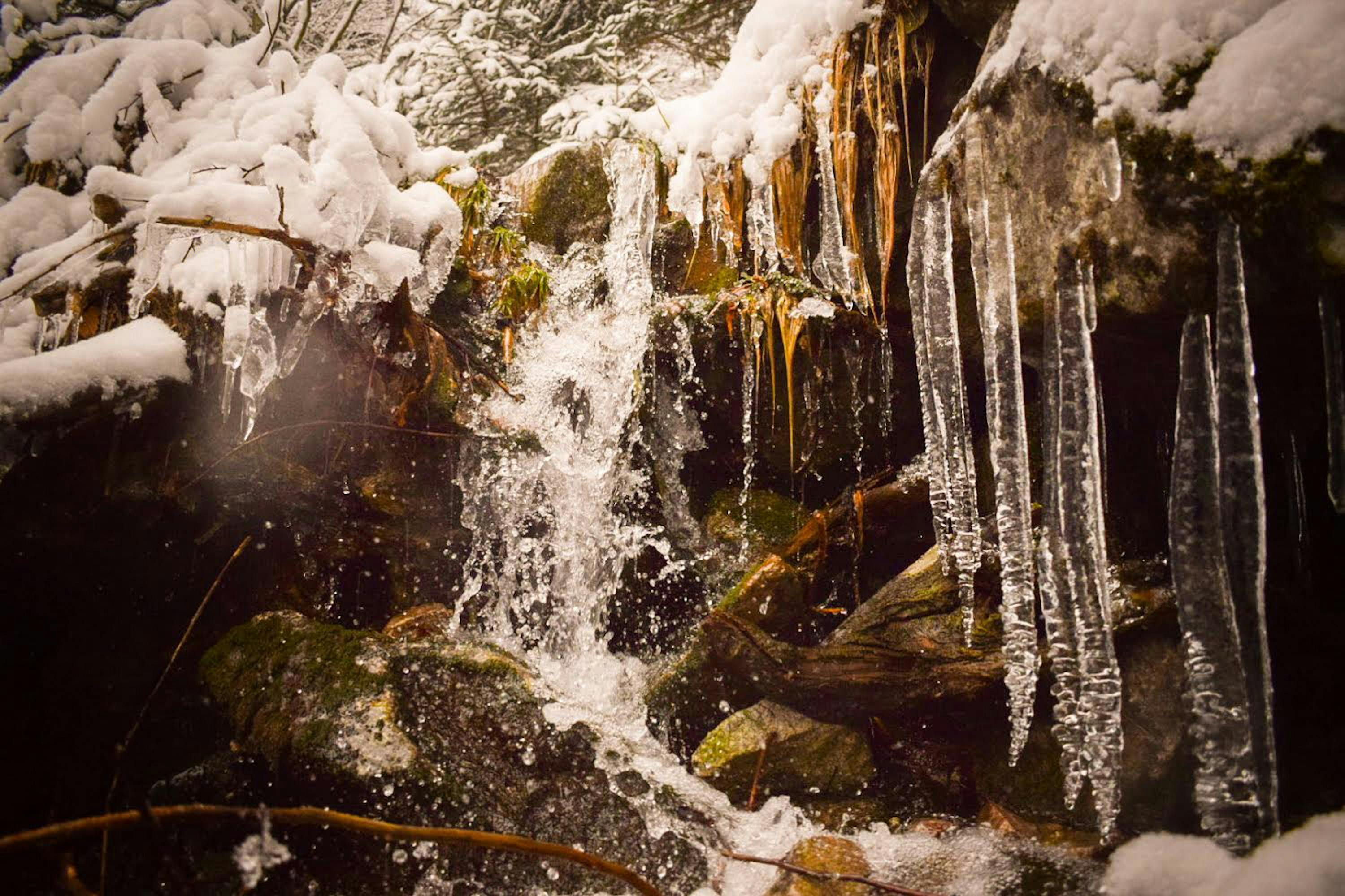 Arthur Ferry – Fotografia