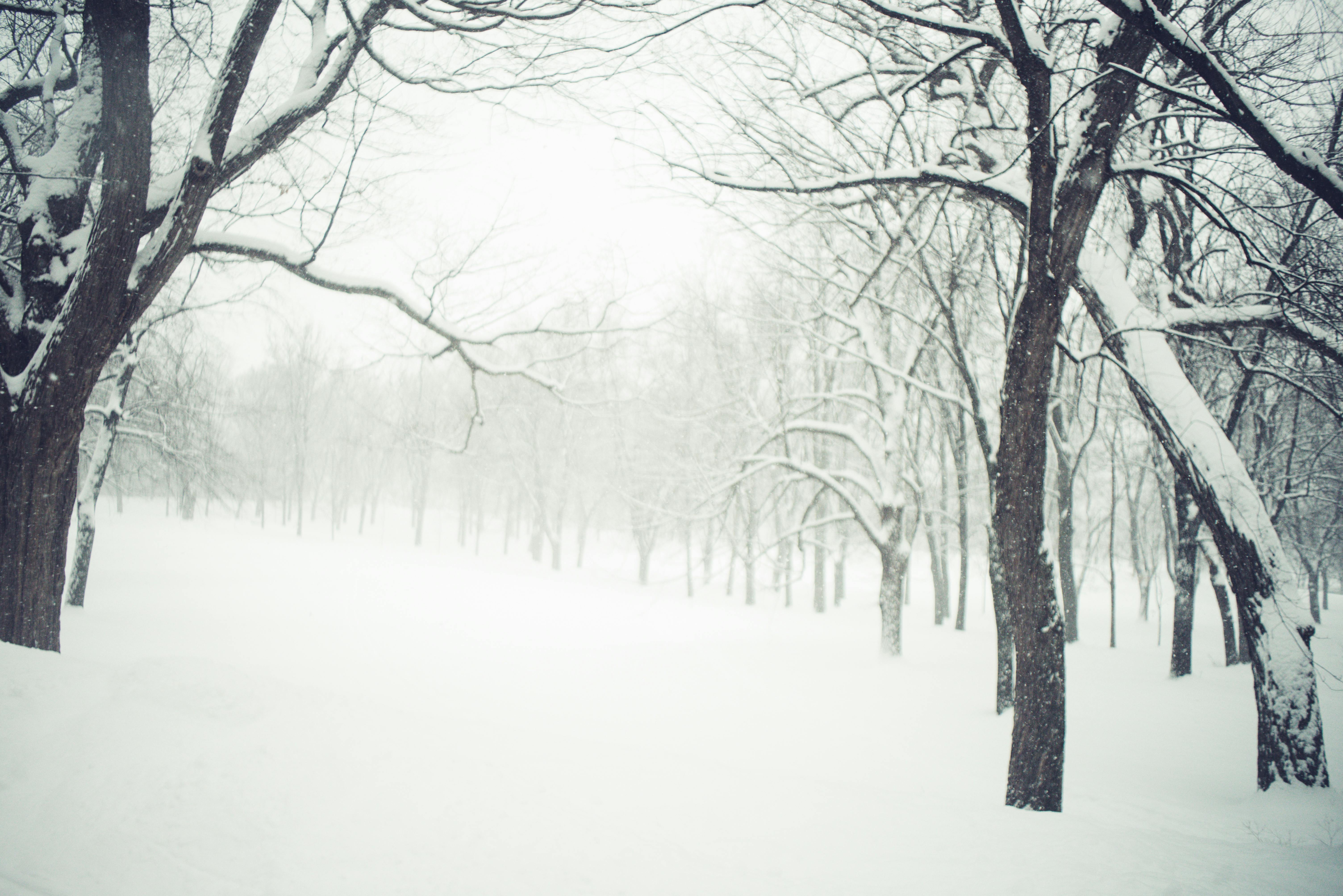 Dylan Thompson - Photography