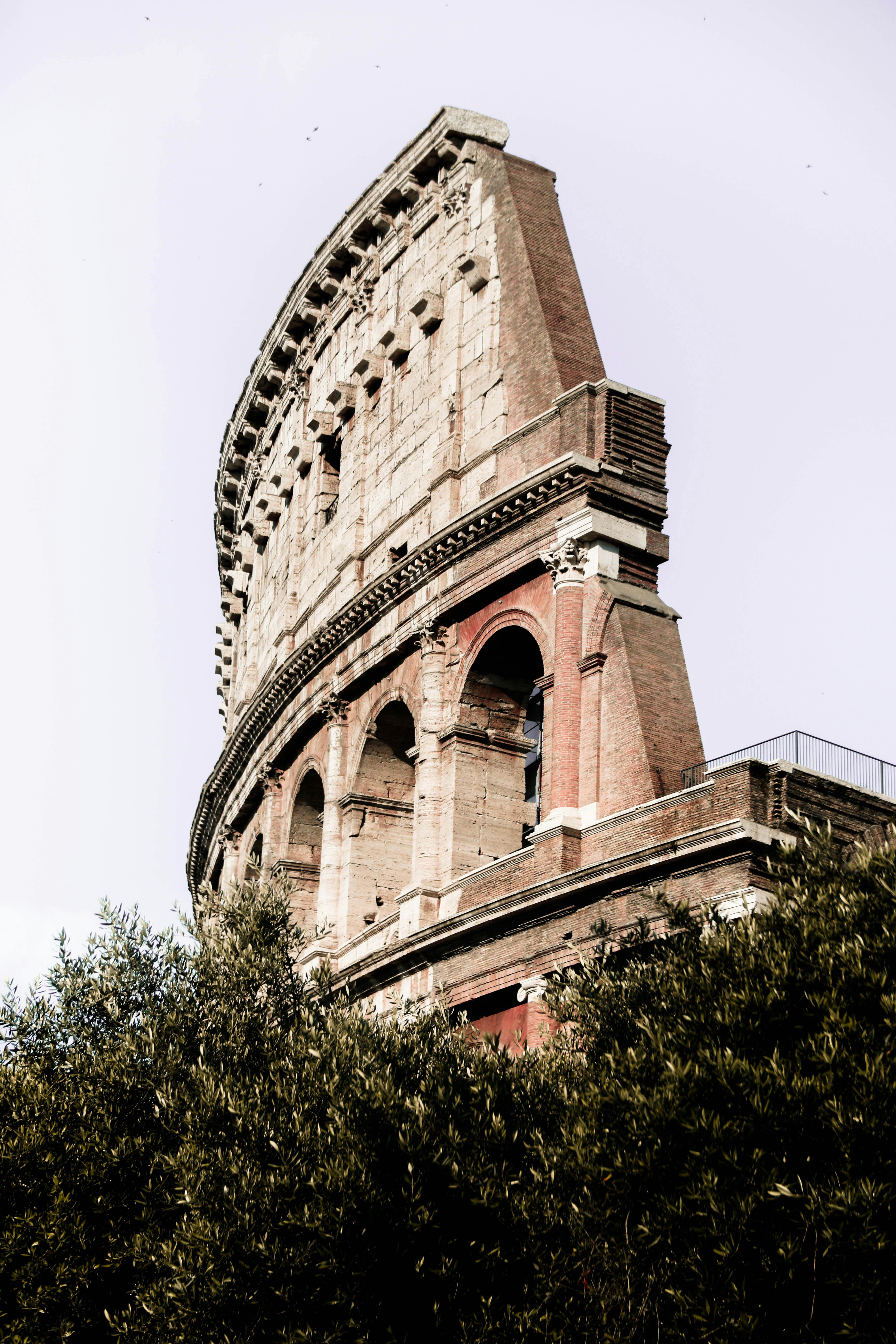 Free stock photo of architecture, building, Colosseum