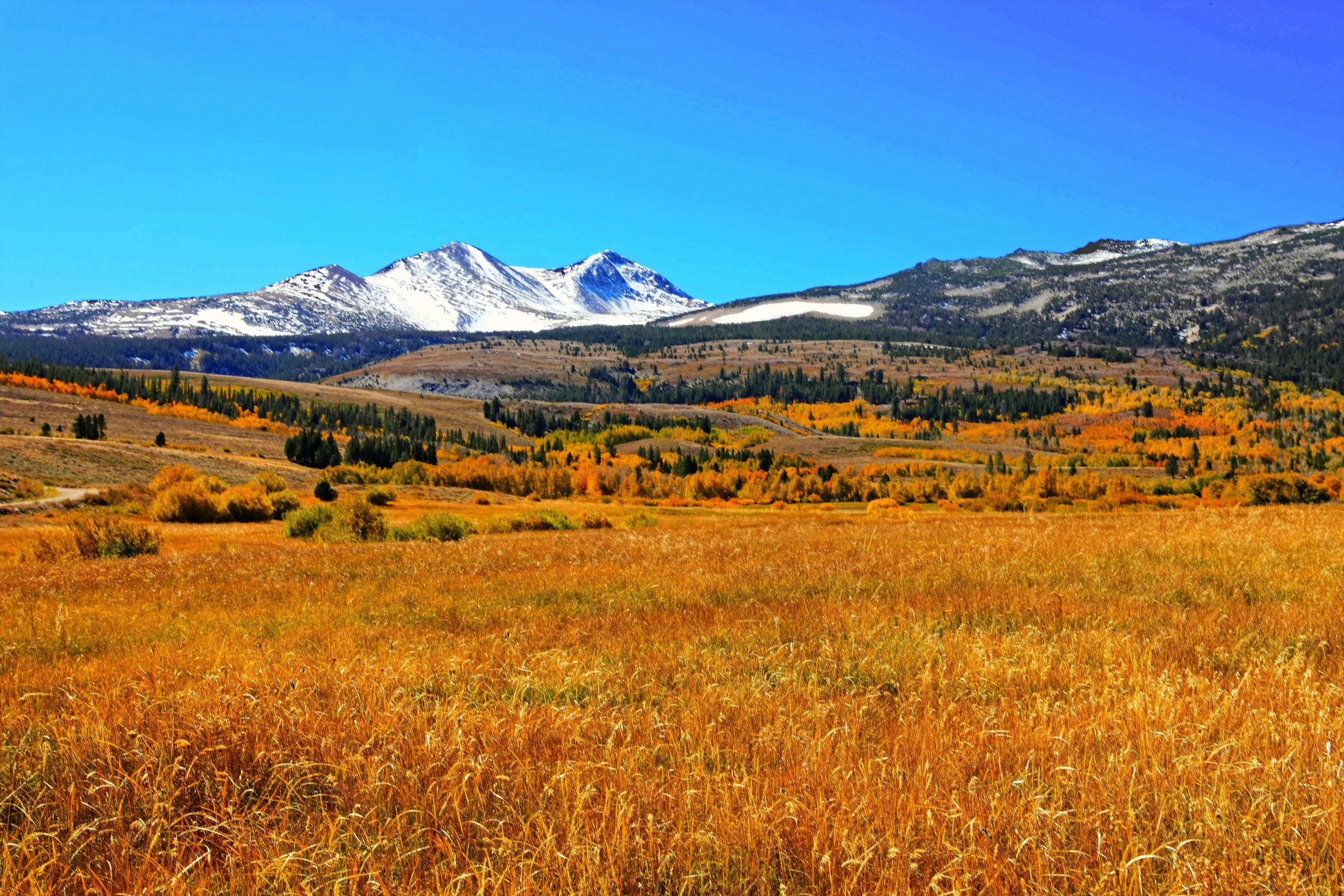 Mark Koller - 사진