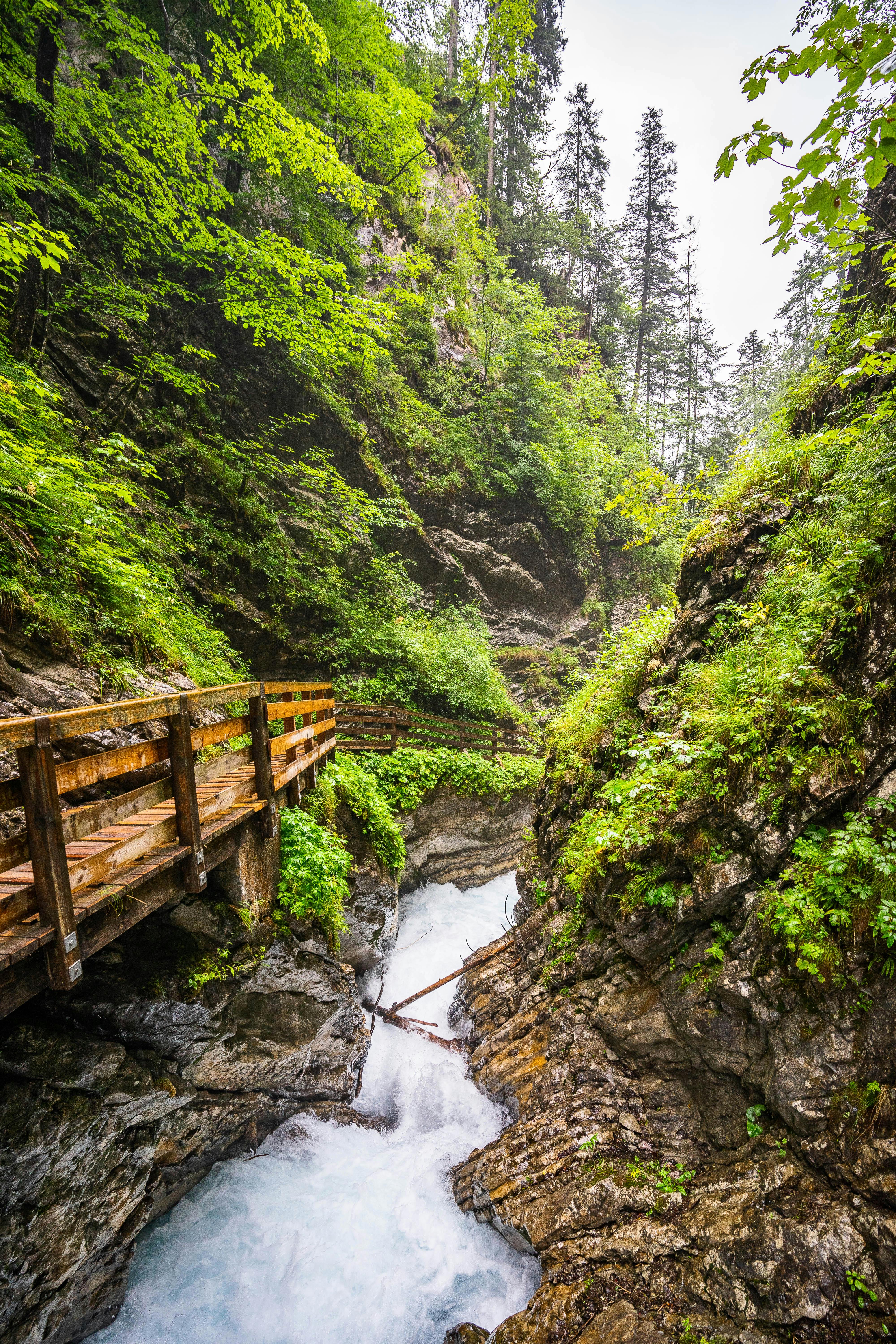 Brown Wooden Bridge between Cliffs · Free Stock Photo