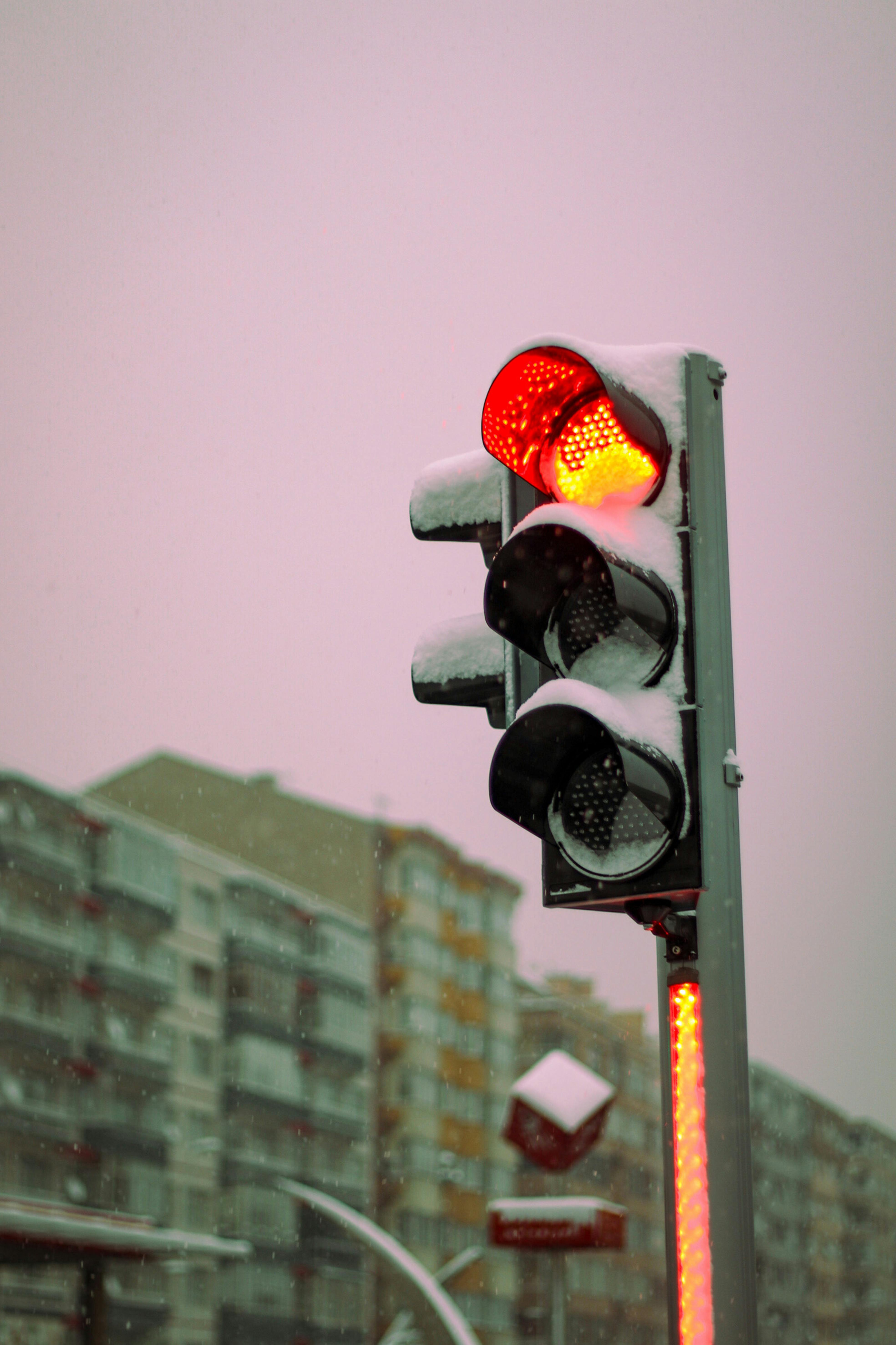 50+ Best Stoplight Photos · 100% Free Download · Pexels Stock Photos