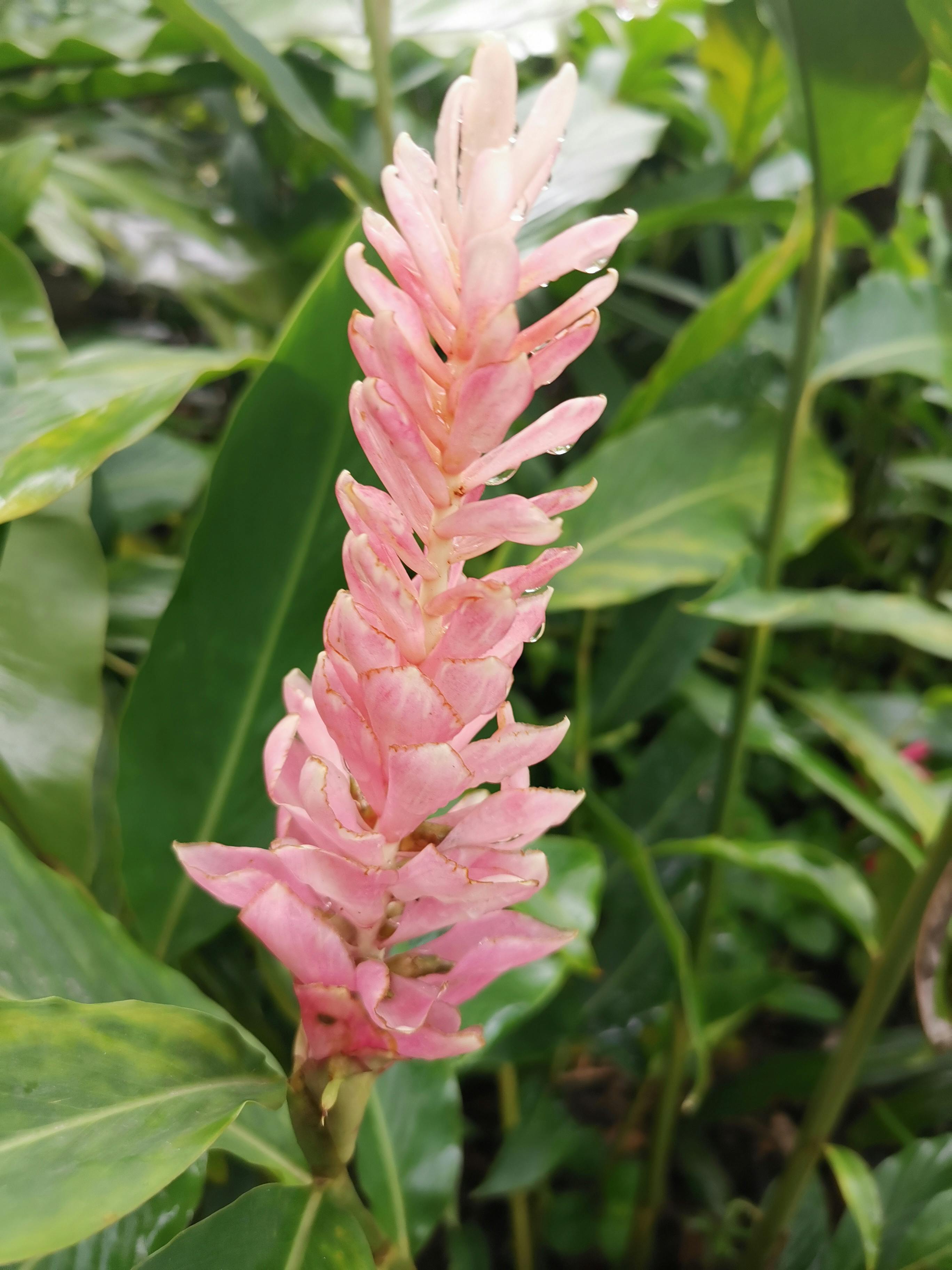 Doreen Tan - Photography