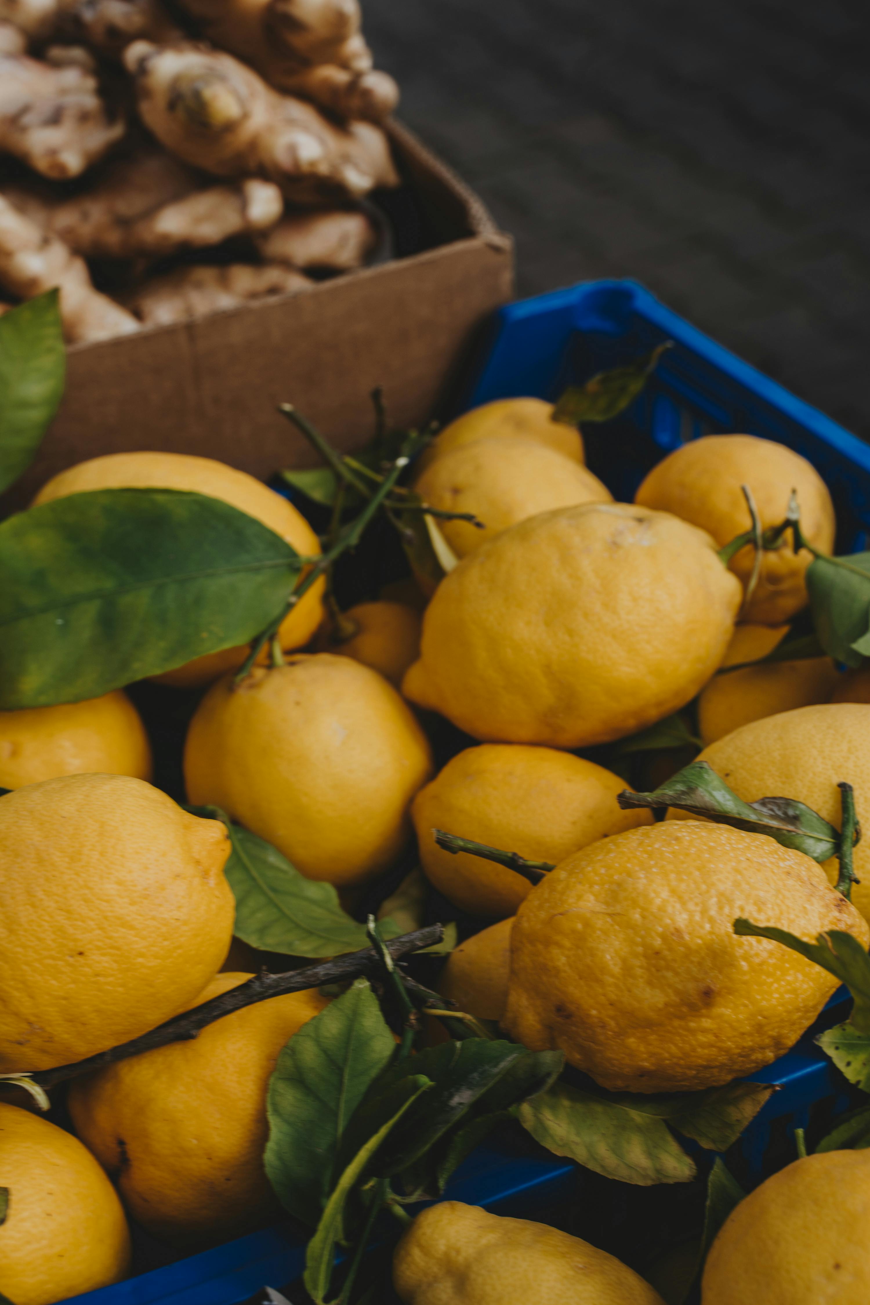 Lemon Fruits in a Plastic Crate · Free Stock Photo