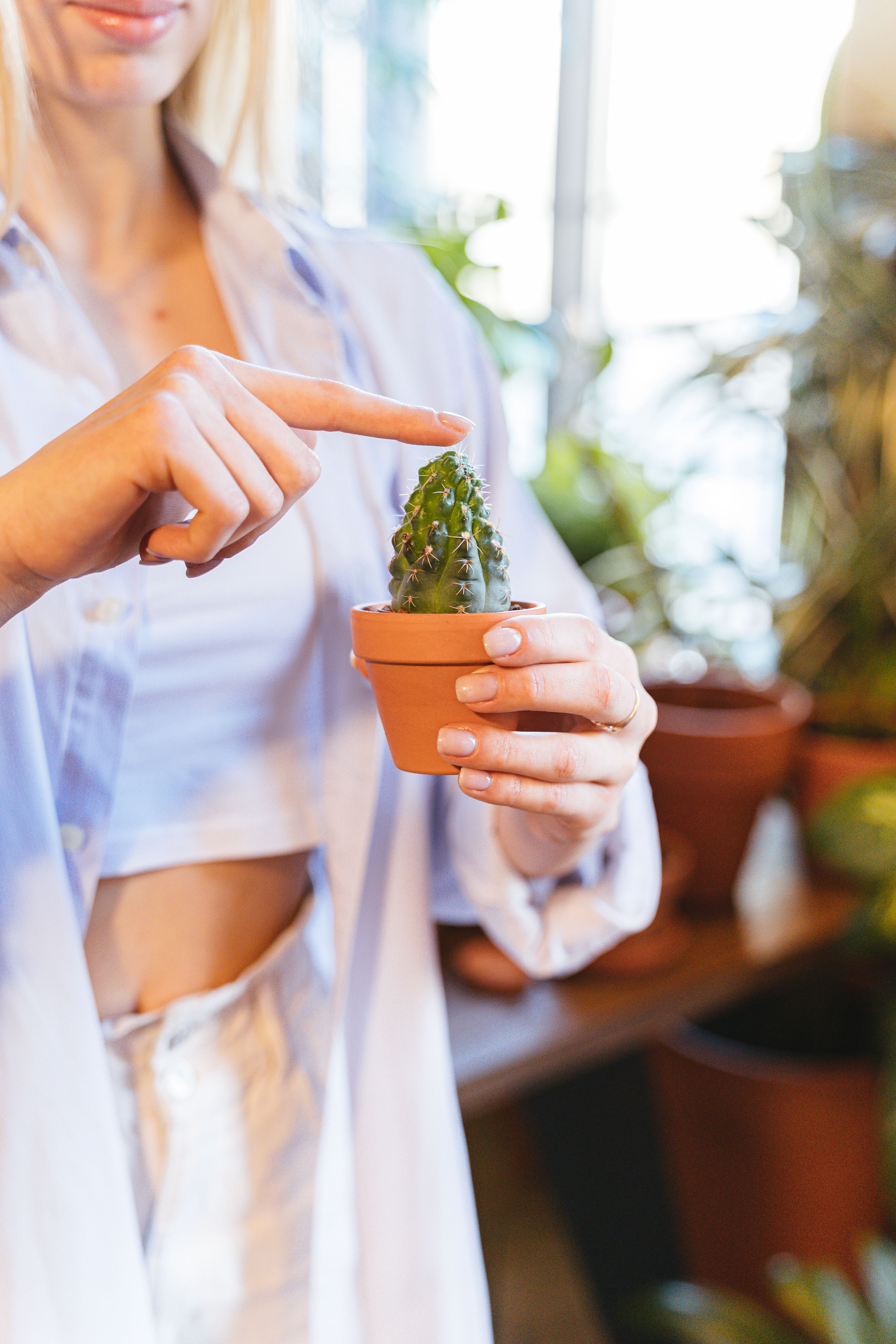 Touching Cactus Photos, Download The BEST Free Touching Cactus Stock ...