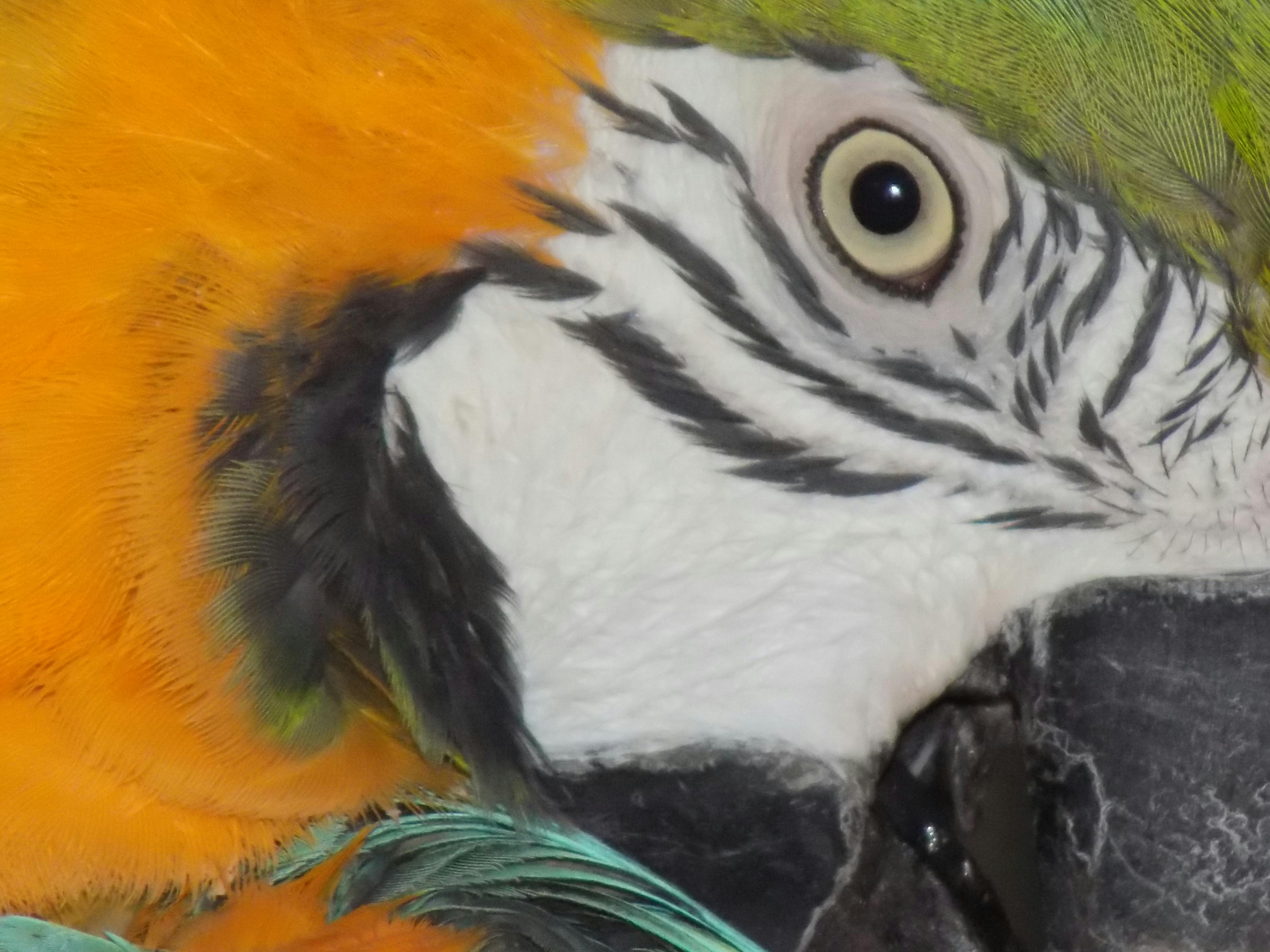 Abdul Rafay - Photography