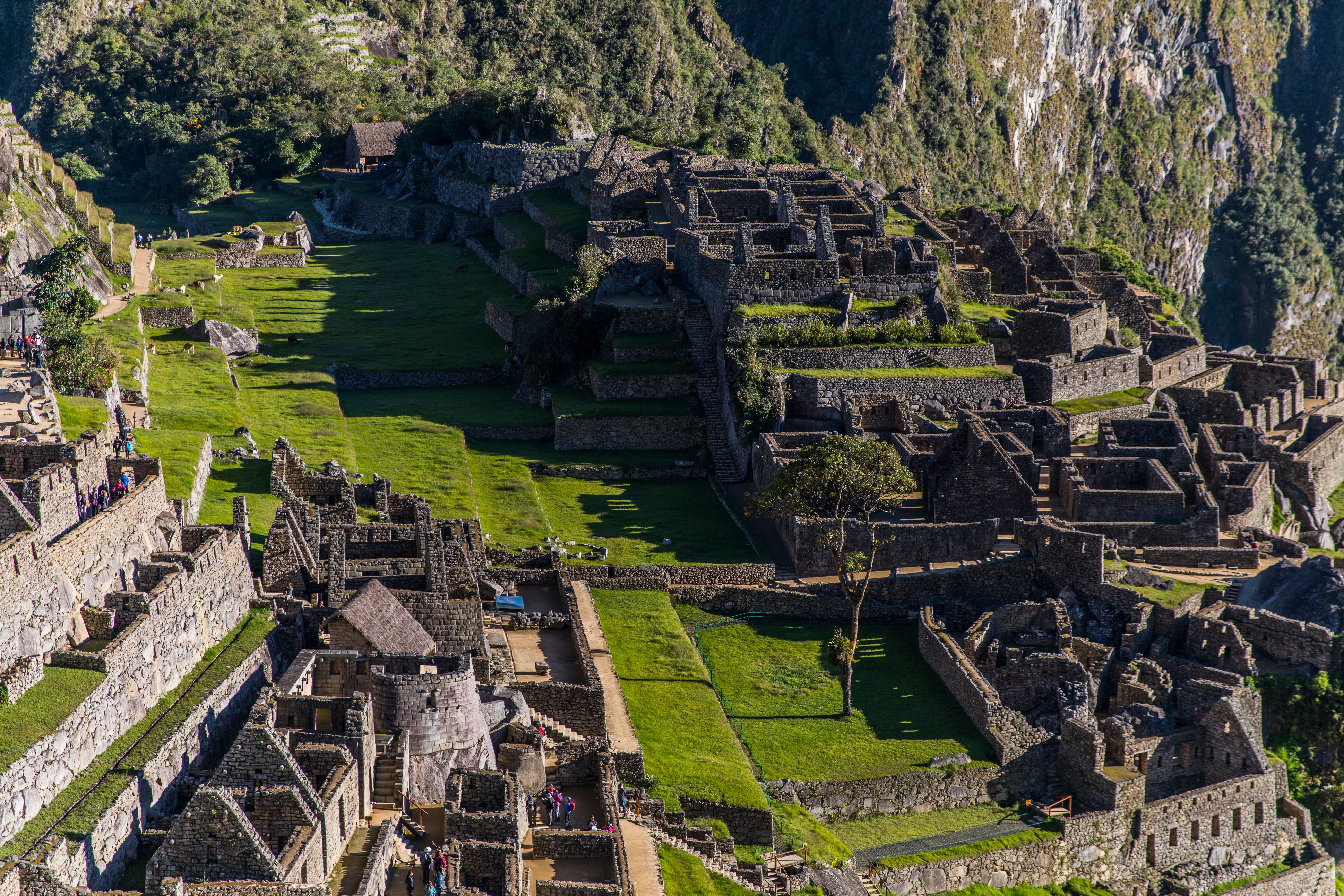 Machu Picchu during Daytime · Free Stock Photo