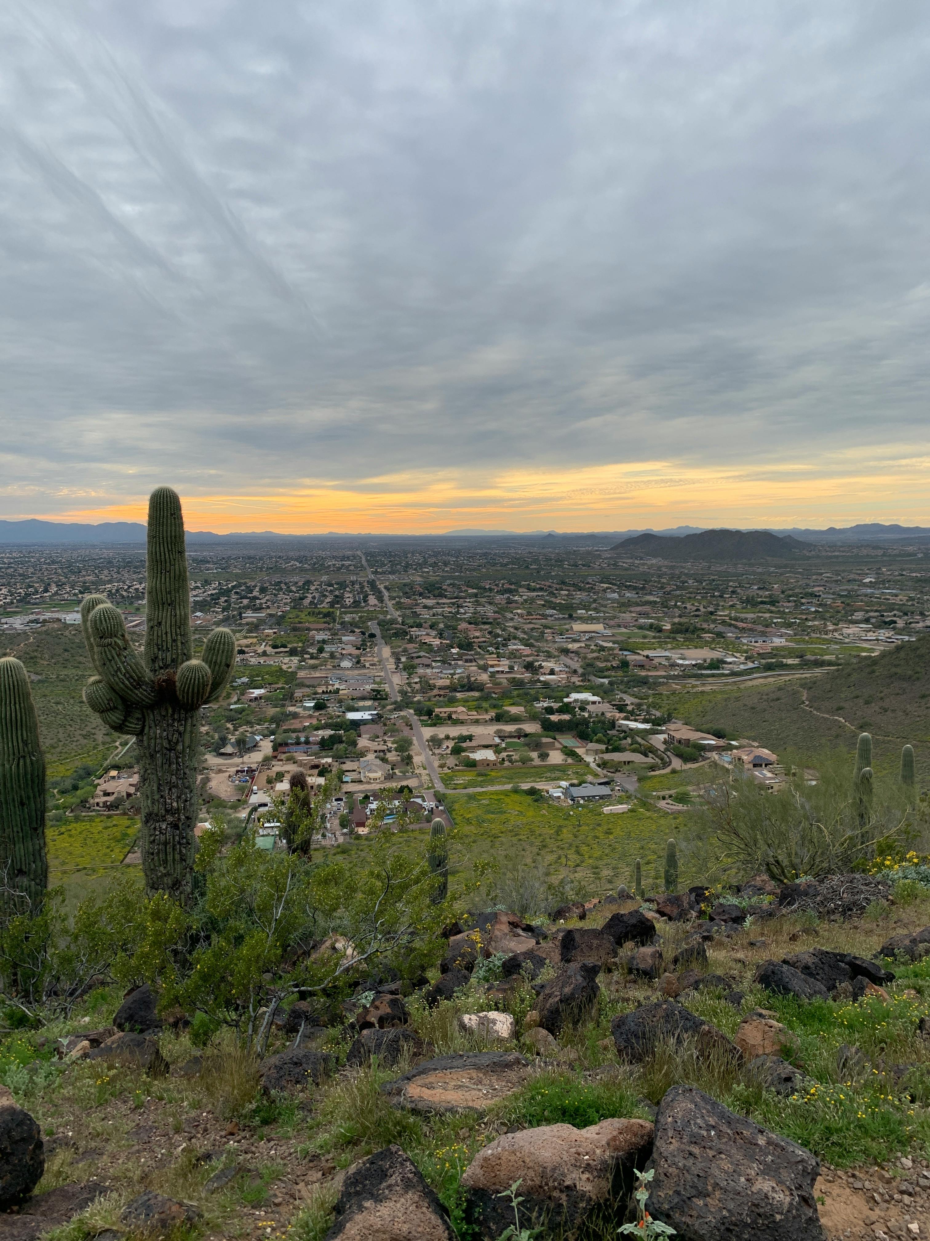 Rachel Ferguson - Fotografie