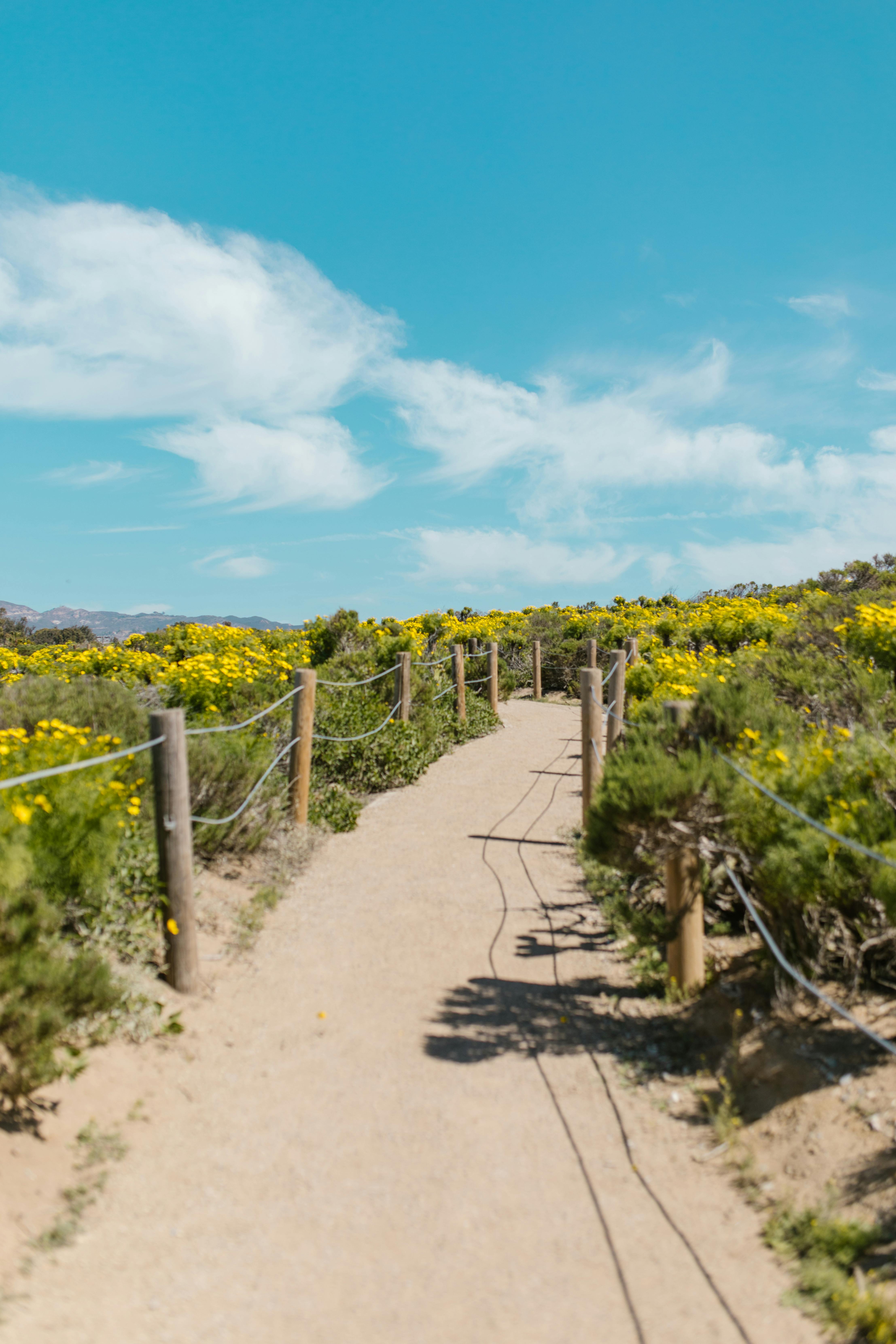 Socal Photos, Download The BEST Free Socal Stock Photos & HD Images