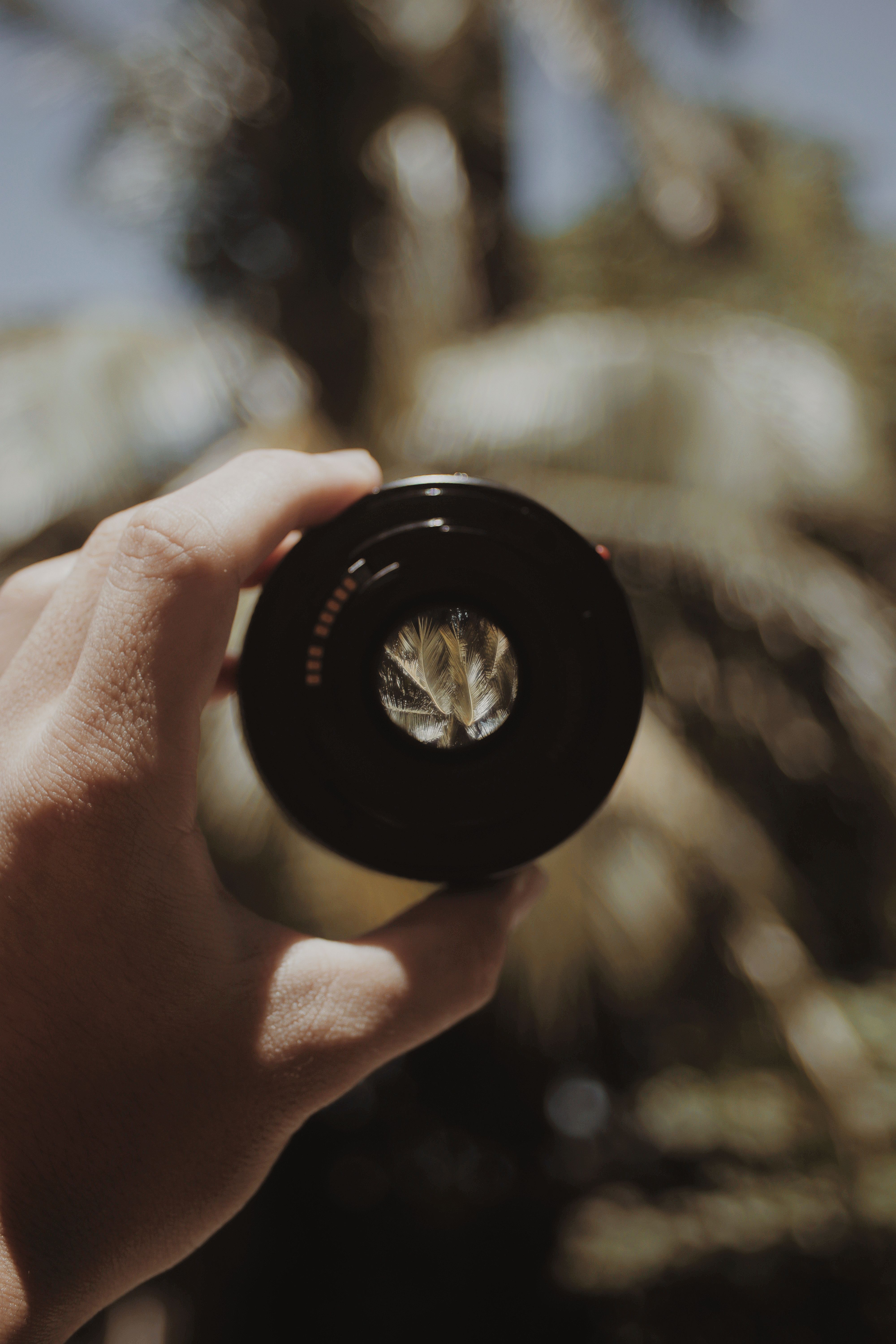 Close-up of Man Holding a Camera Lens · Free Stock Photo