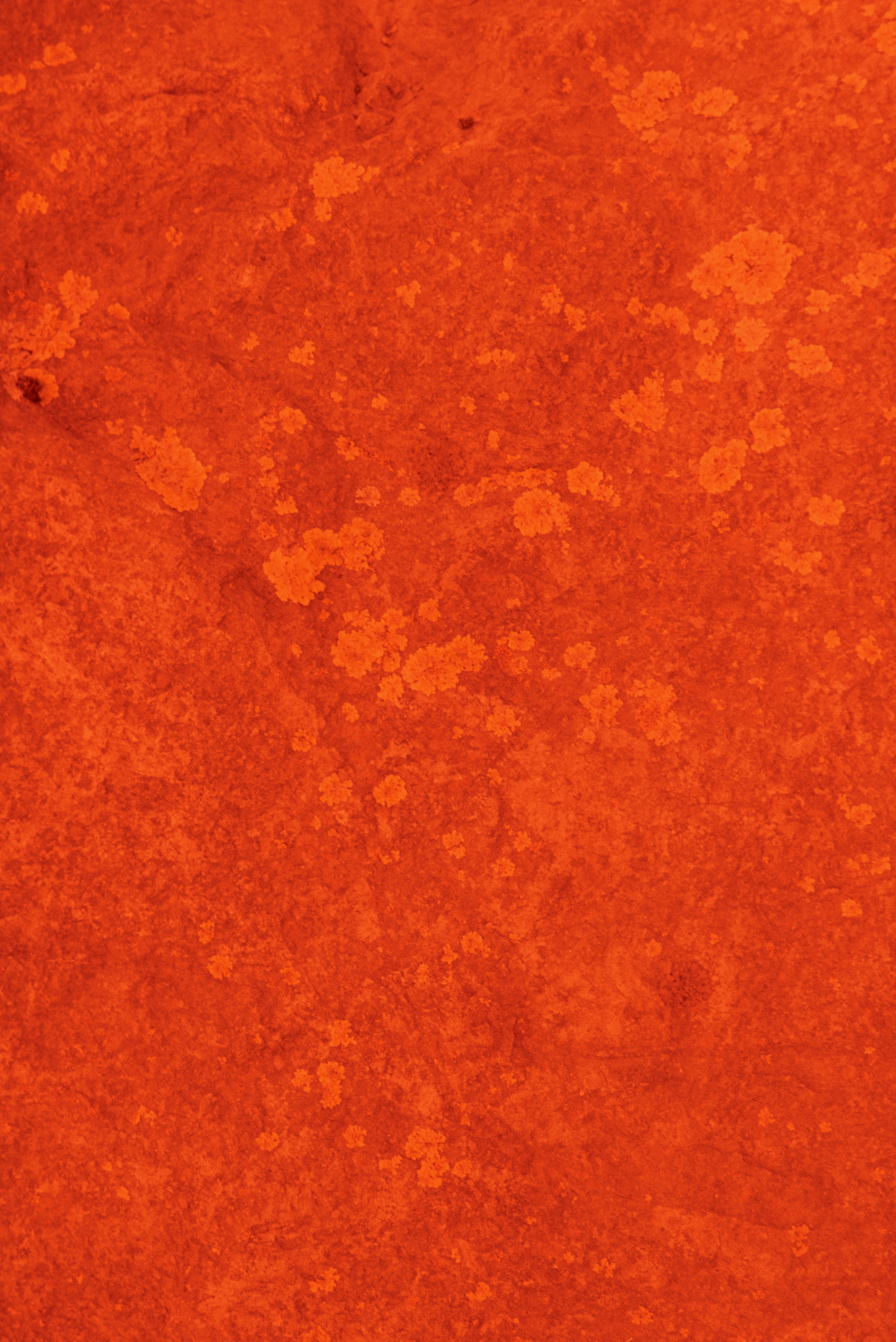 Red, Plain Surface · Free Stock Photo