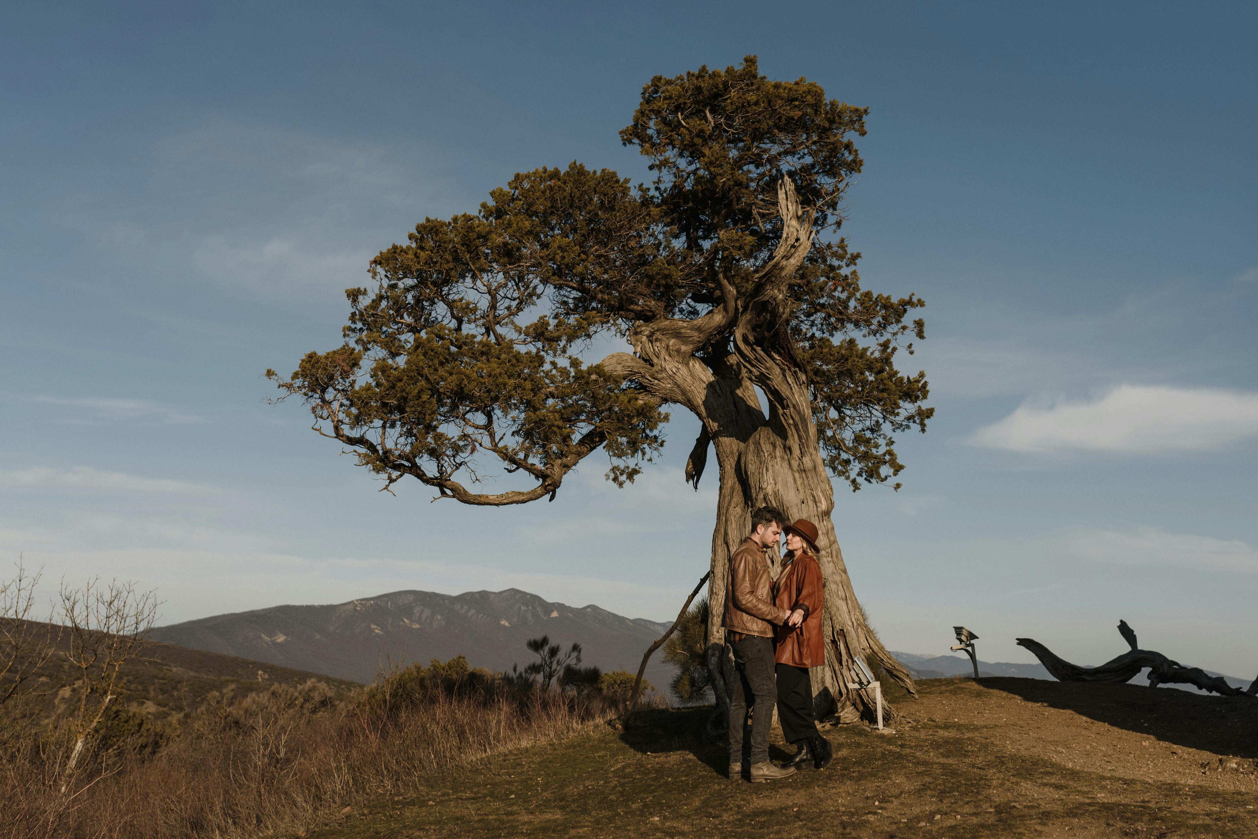 Couple Standing Beside a Tree · Free Stock Photo