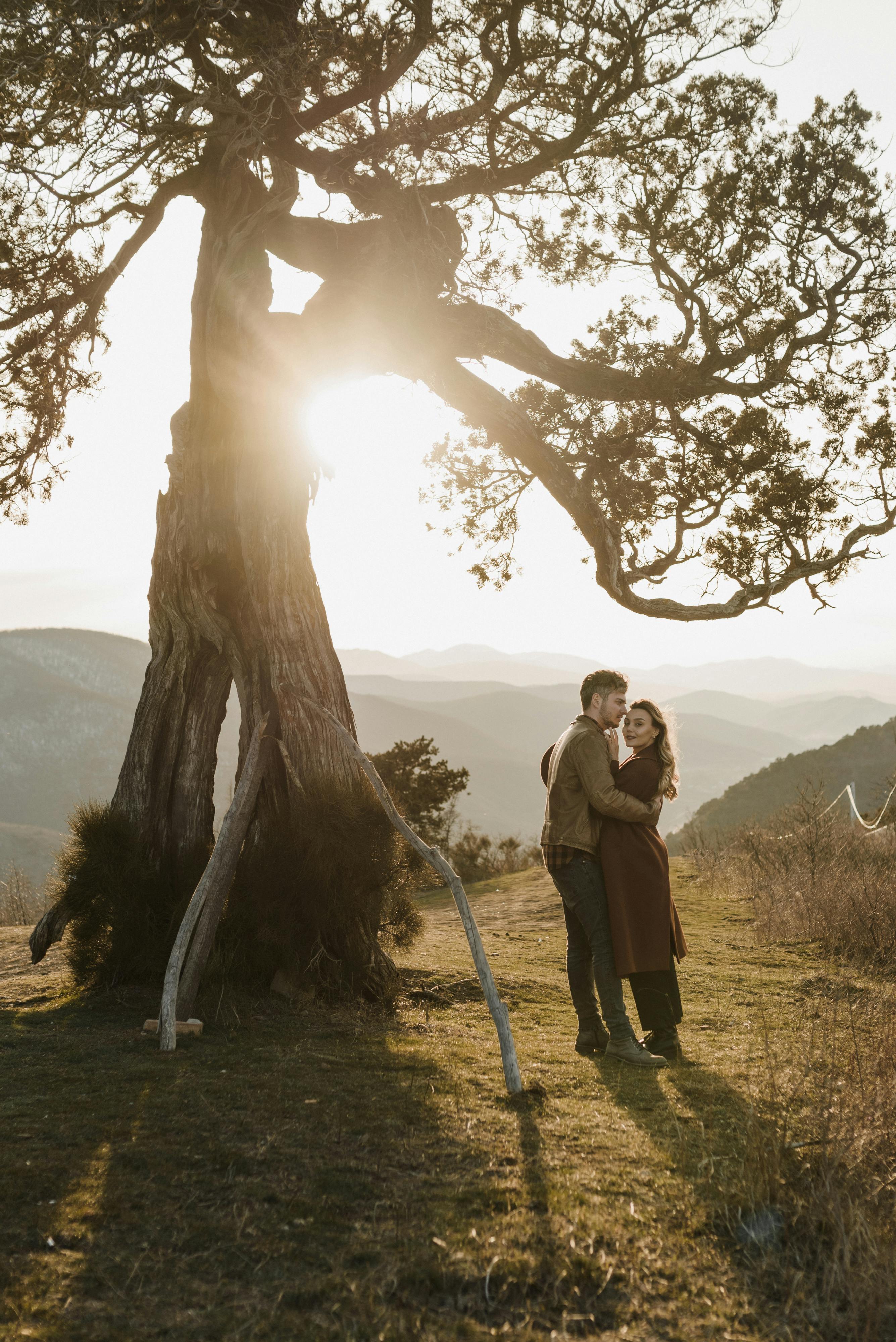 Couple Hugging near Tree on Sunset · Free Stock Photo
