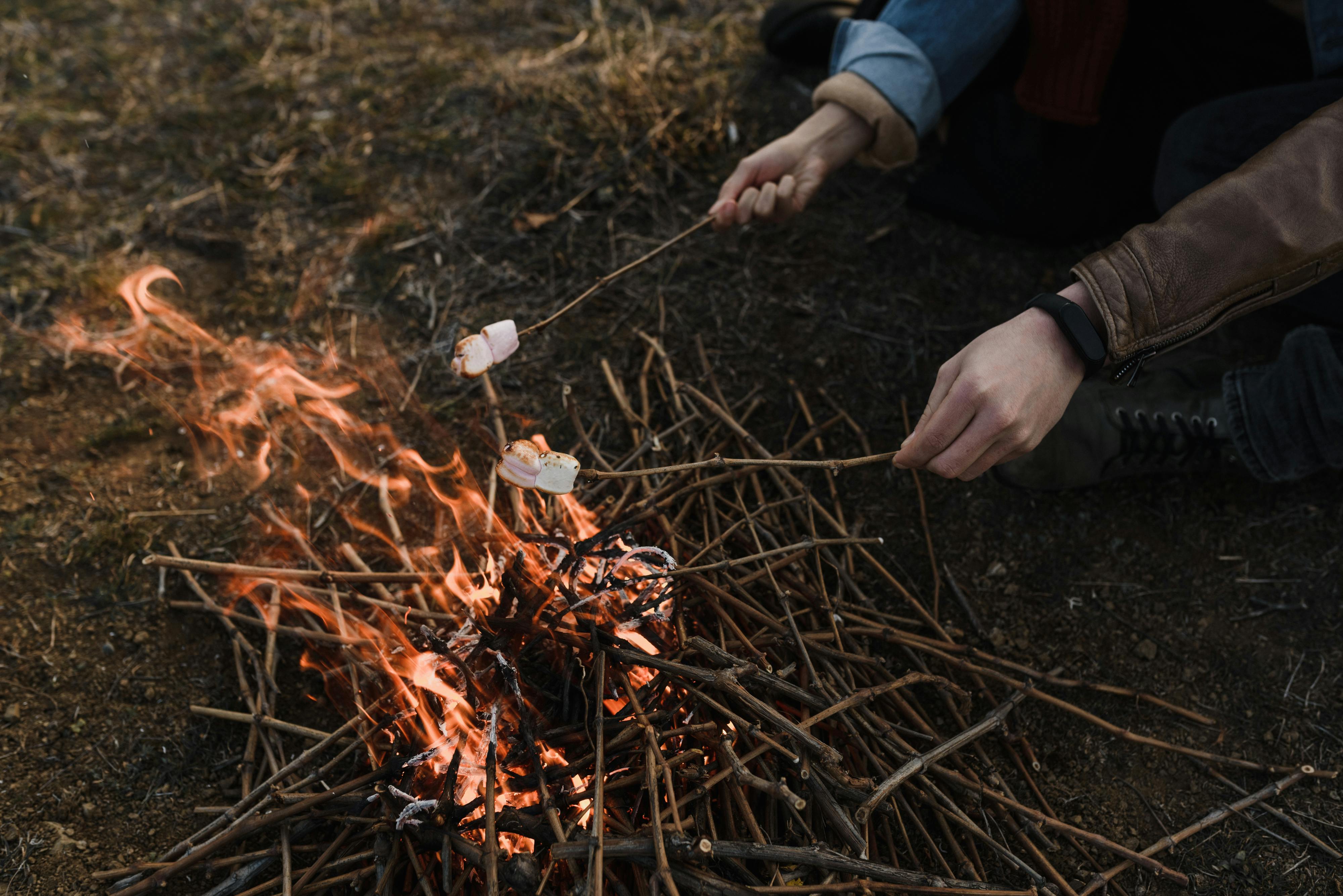 People Roasting Marshmallows on Campfire · Free Stock Photo
