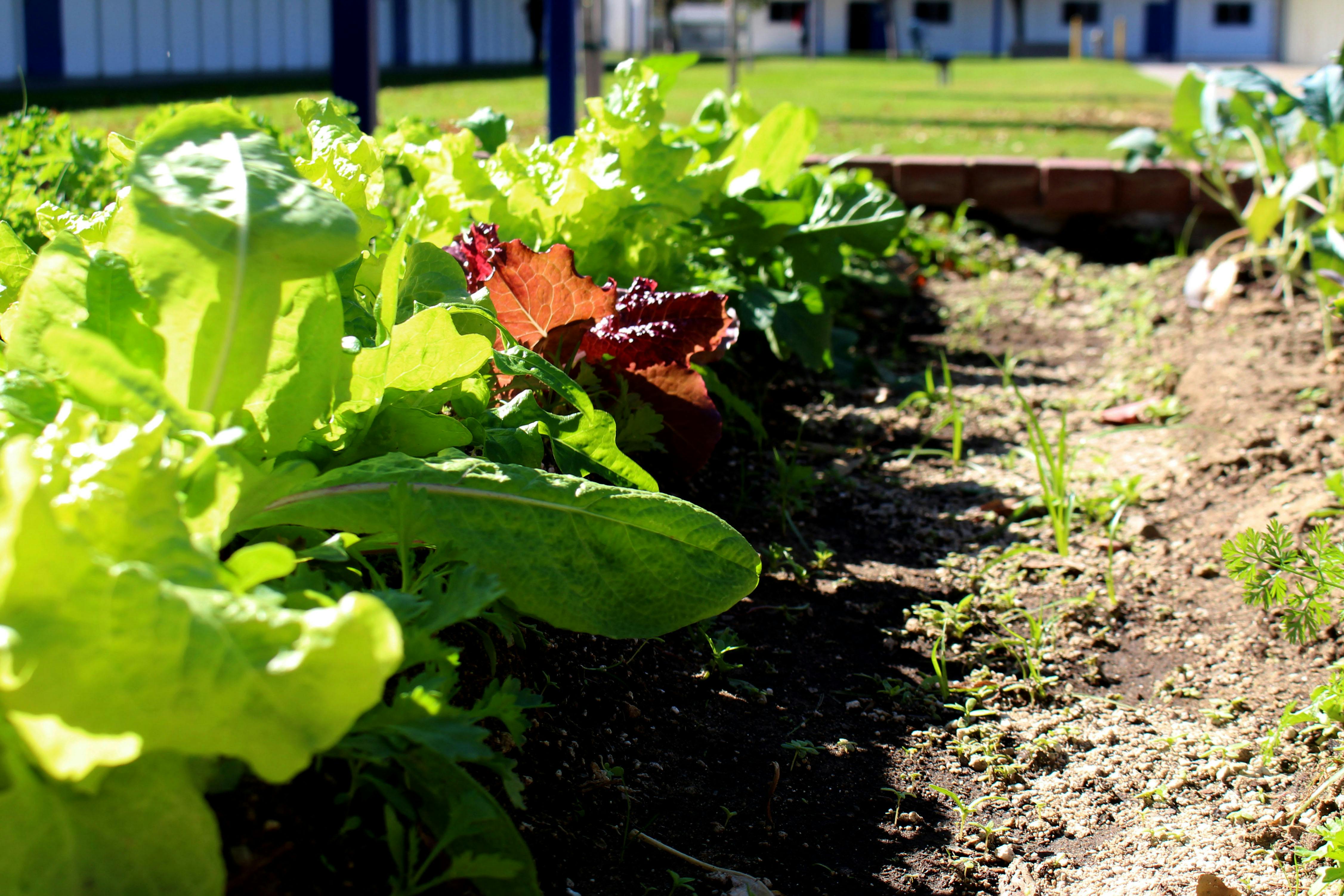 Emphasis In Photography