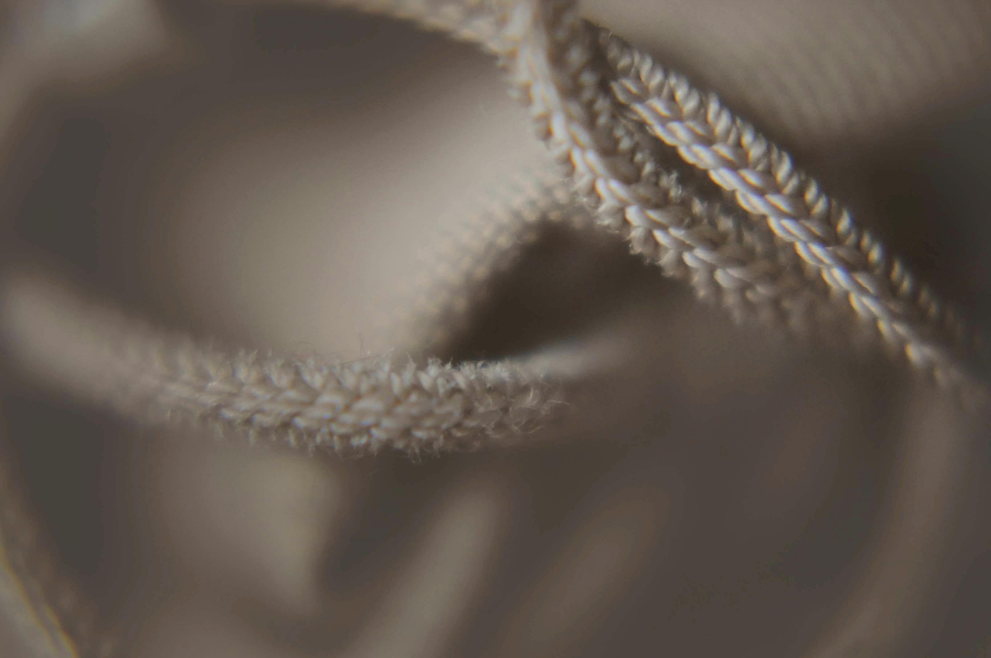 Amy Pointer - Photography