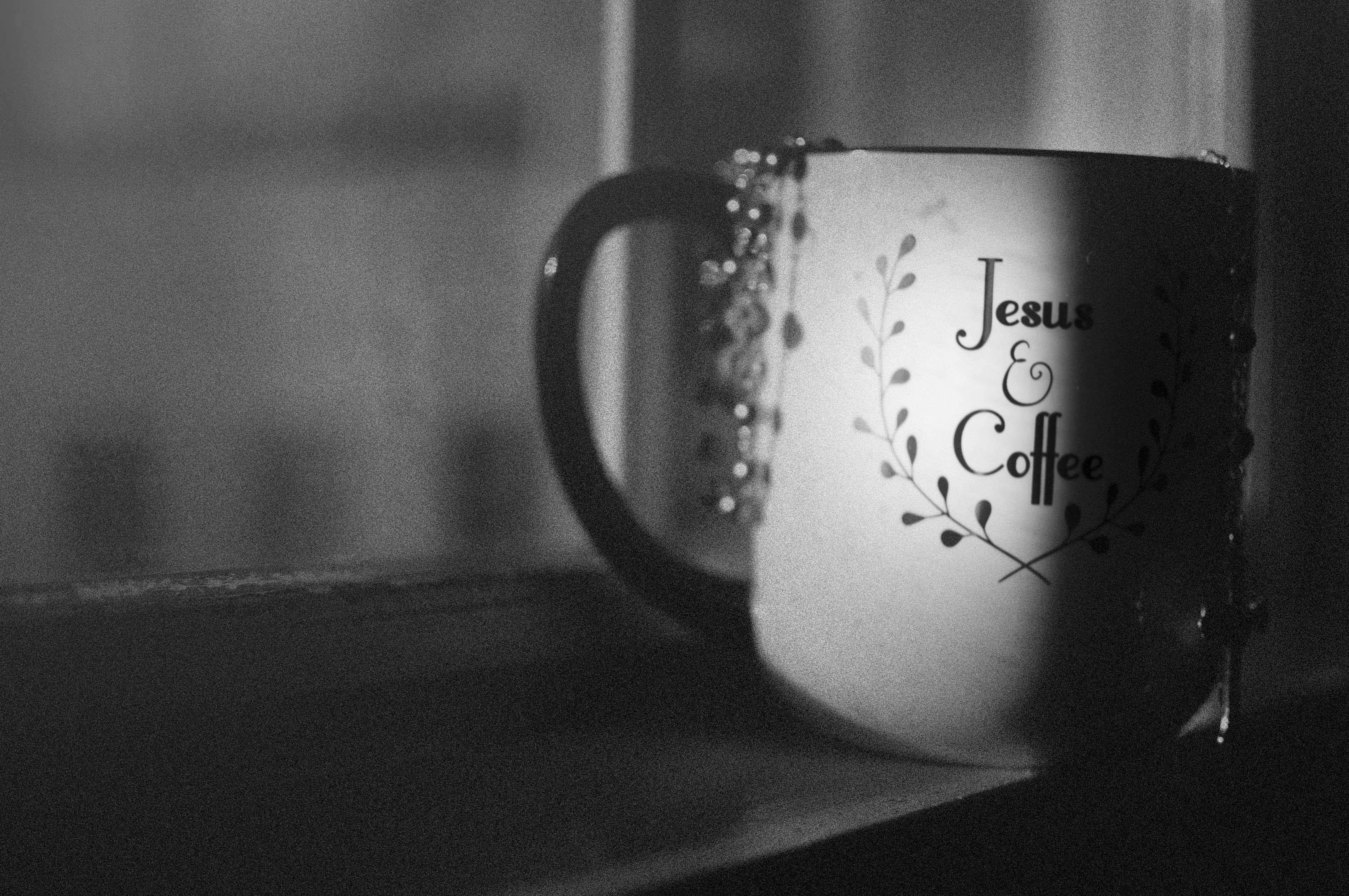 Amy Pointer - Photography