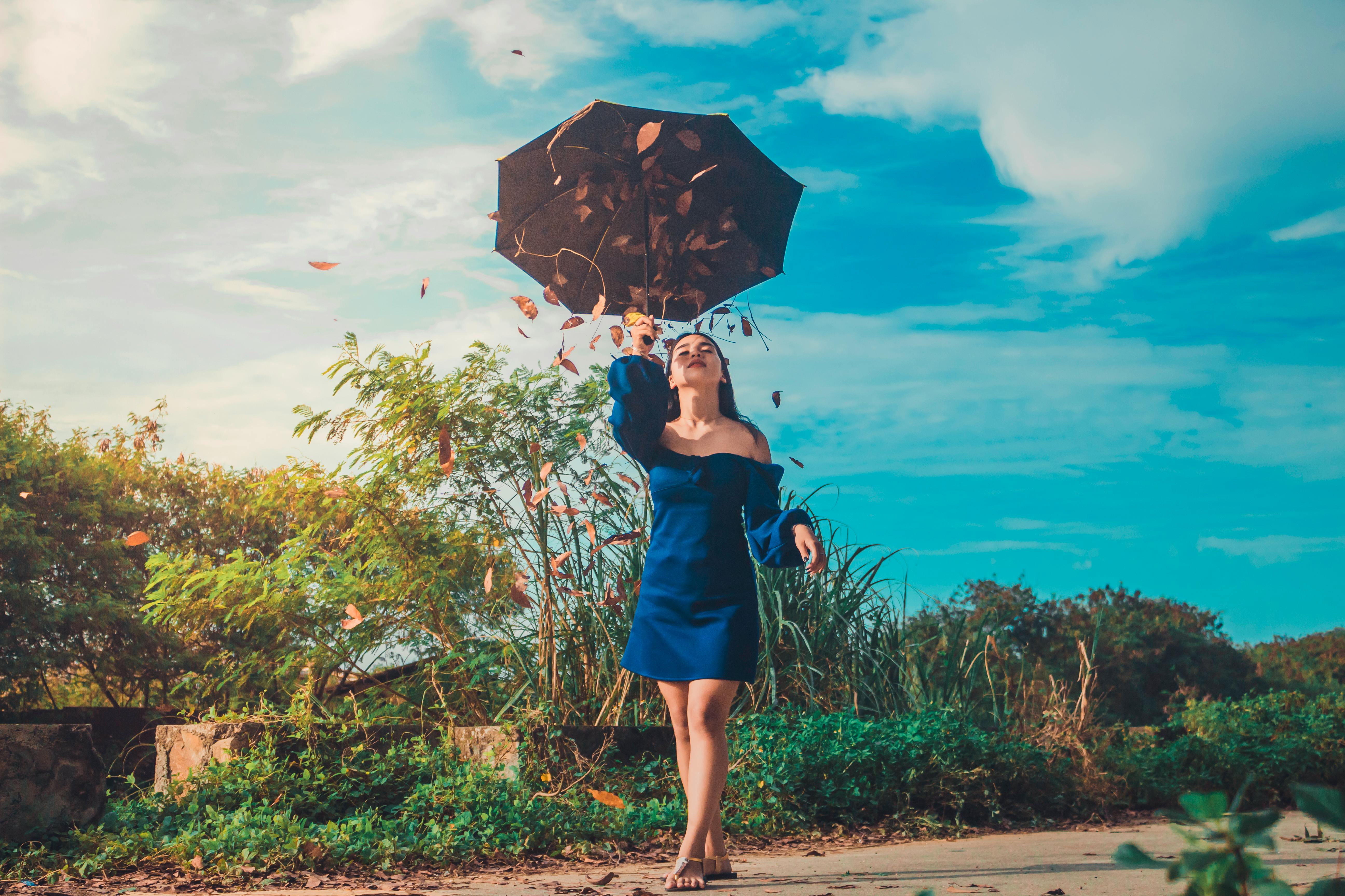 Brown Umbrella Photos, Download The BEST Free Brown Umbrella Stock ...