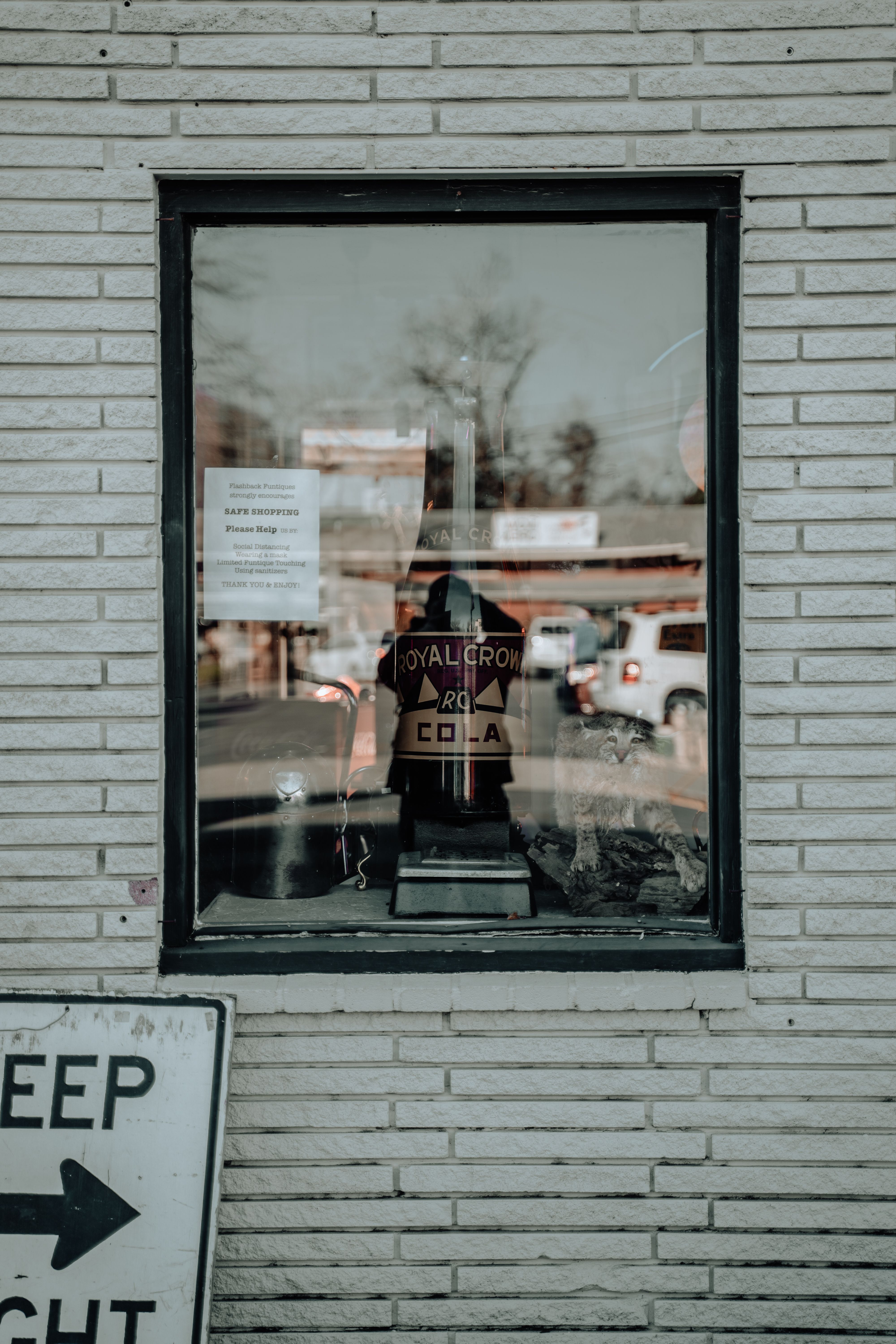 Reflection of the Photographer in the Window · Free Stock Photo