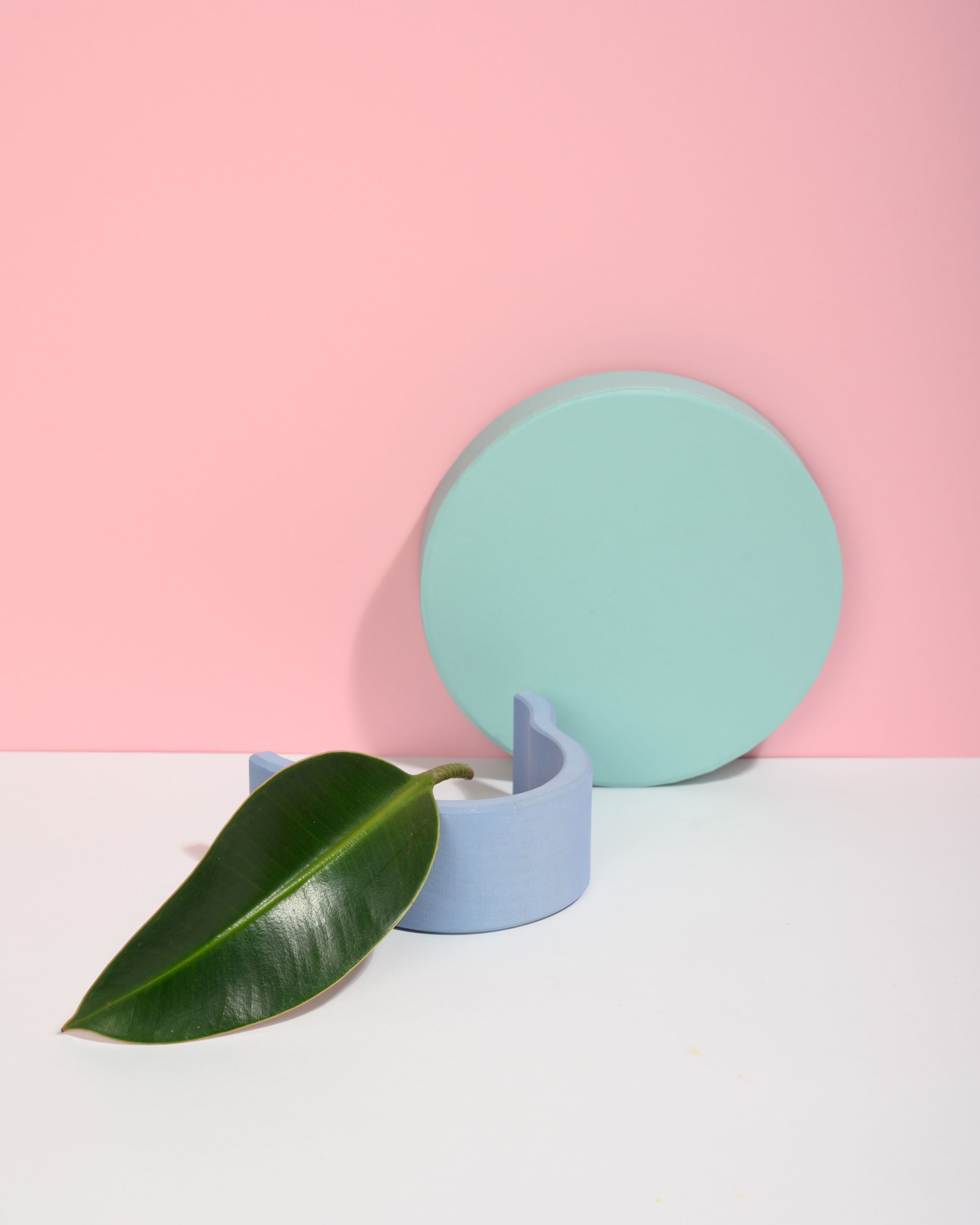 Photo of Green Leaf Leaning on Light Blue Object · Free Stock Photo