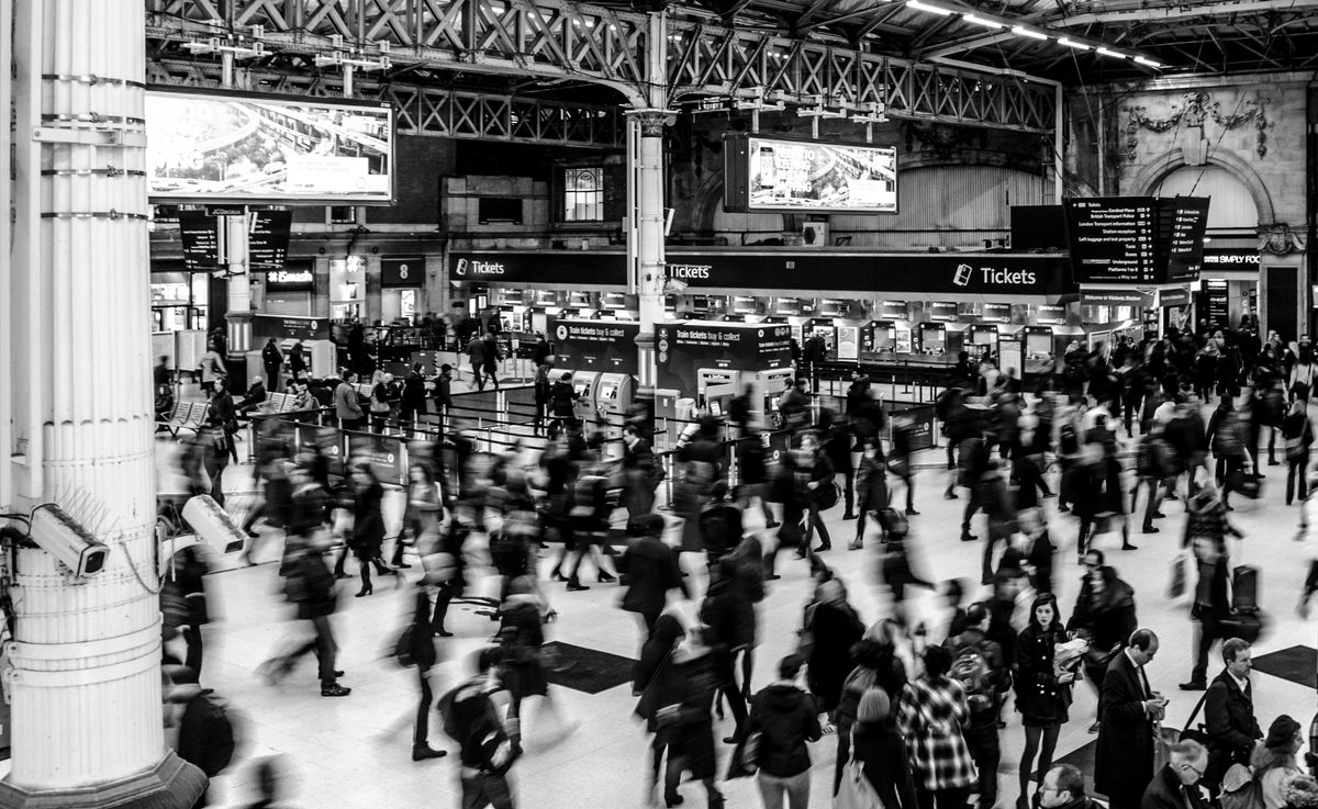 7,000+ Best Busy Photos · 100% Free Download · Pexels Stock Photos