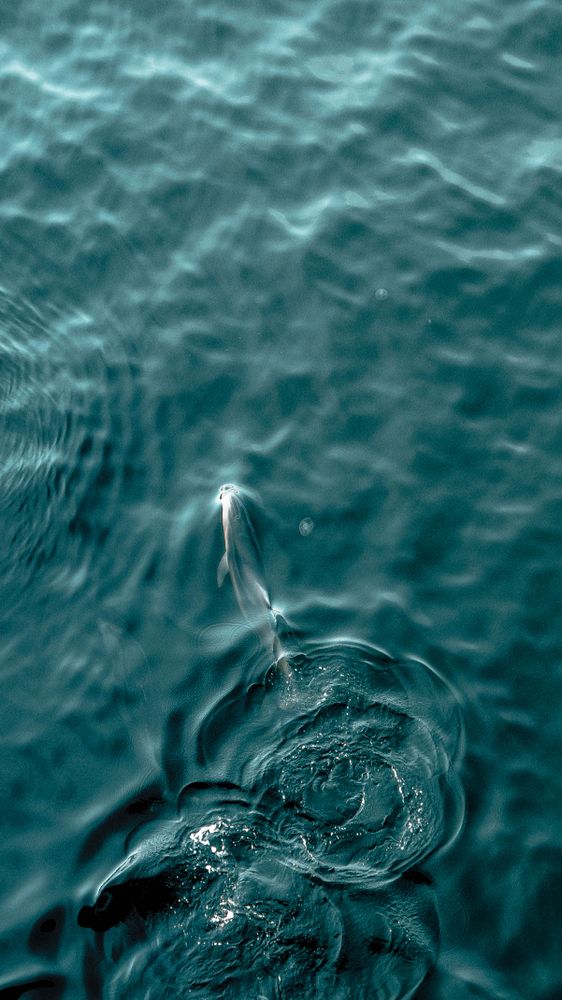 40,000+ Best Free Wallpaper Downloads · 100% Free Wallpaper Photos ...