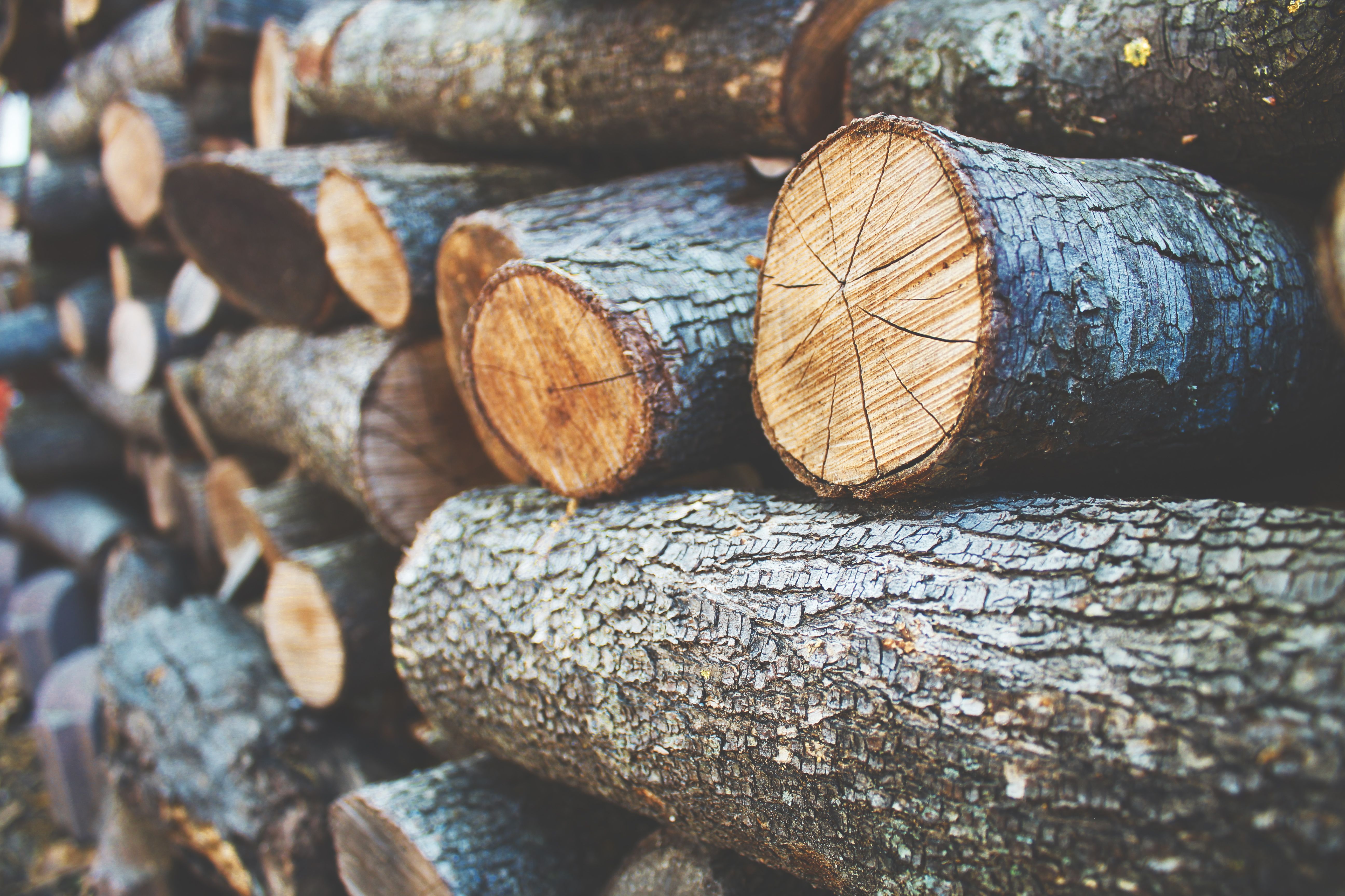 Woods Stacked Together · Free Stock Photo