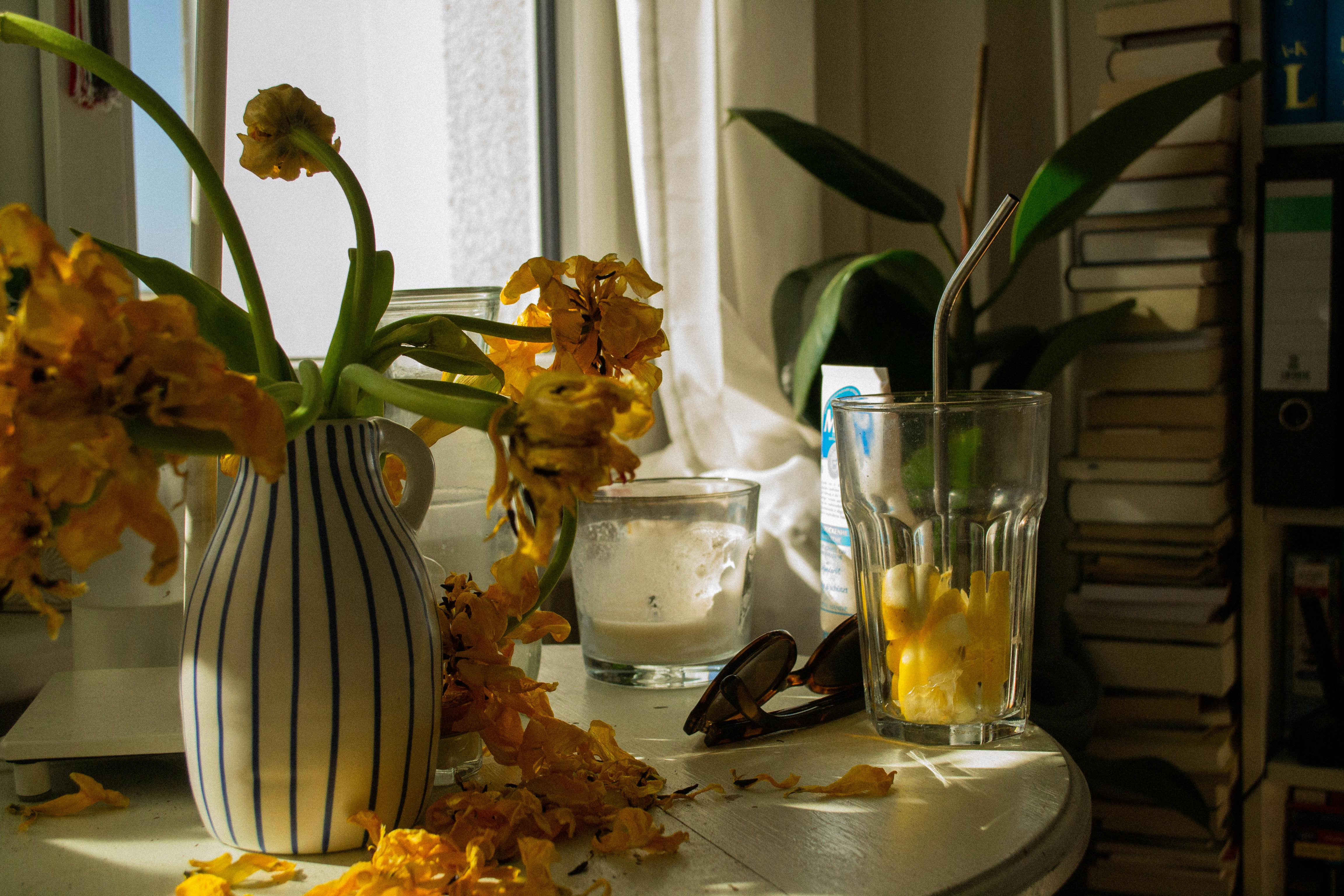 Victoria Helen - 攝影