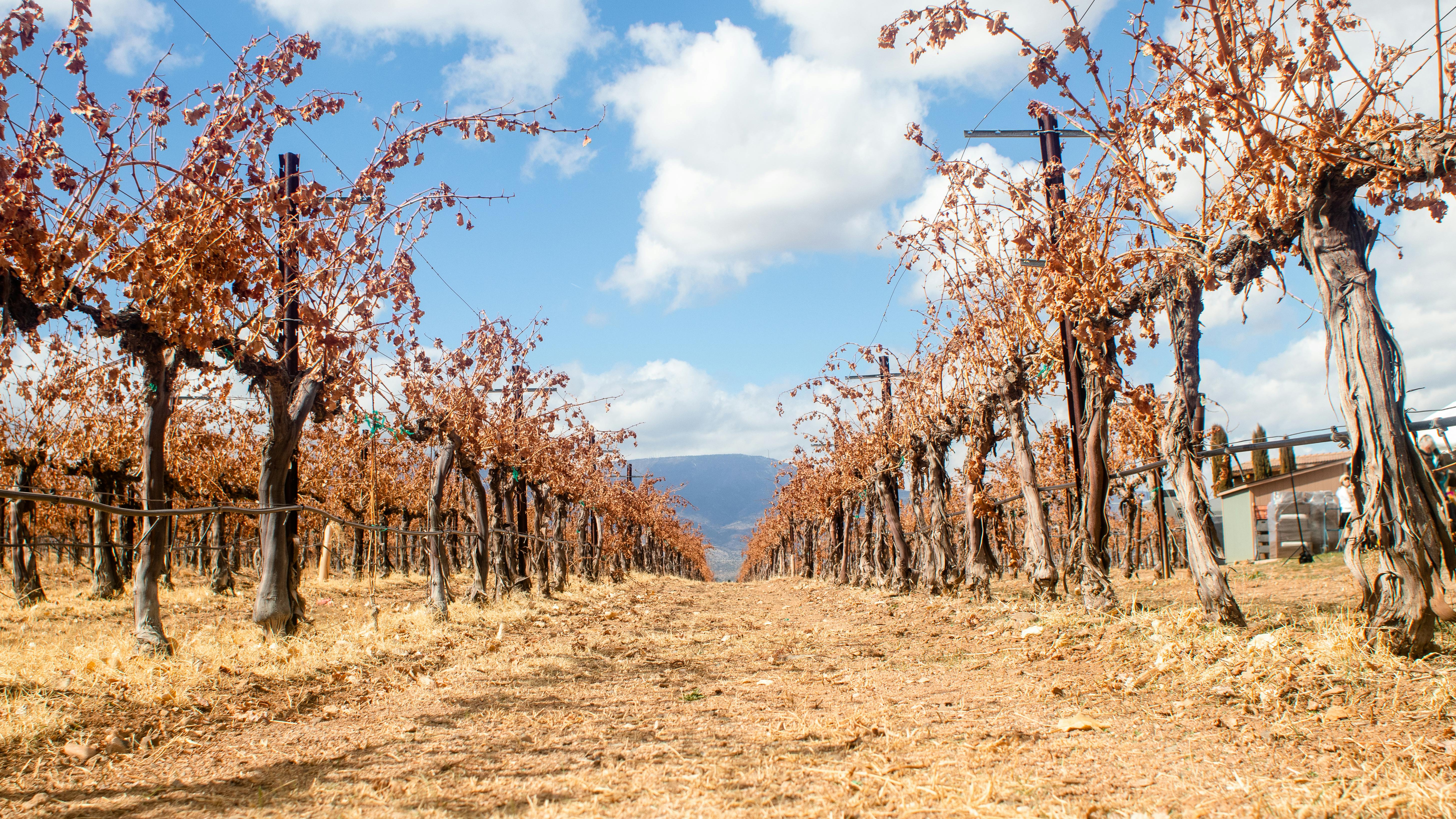 Justin Nealey - 사진