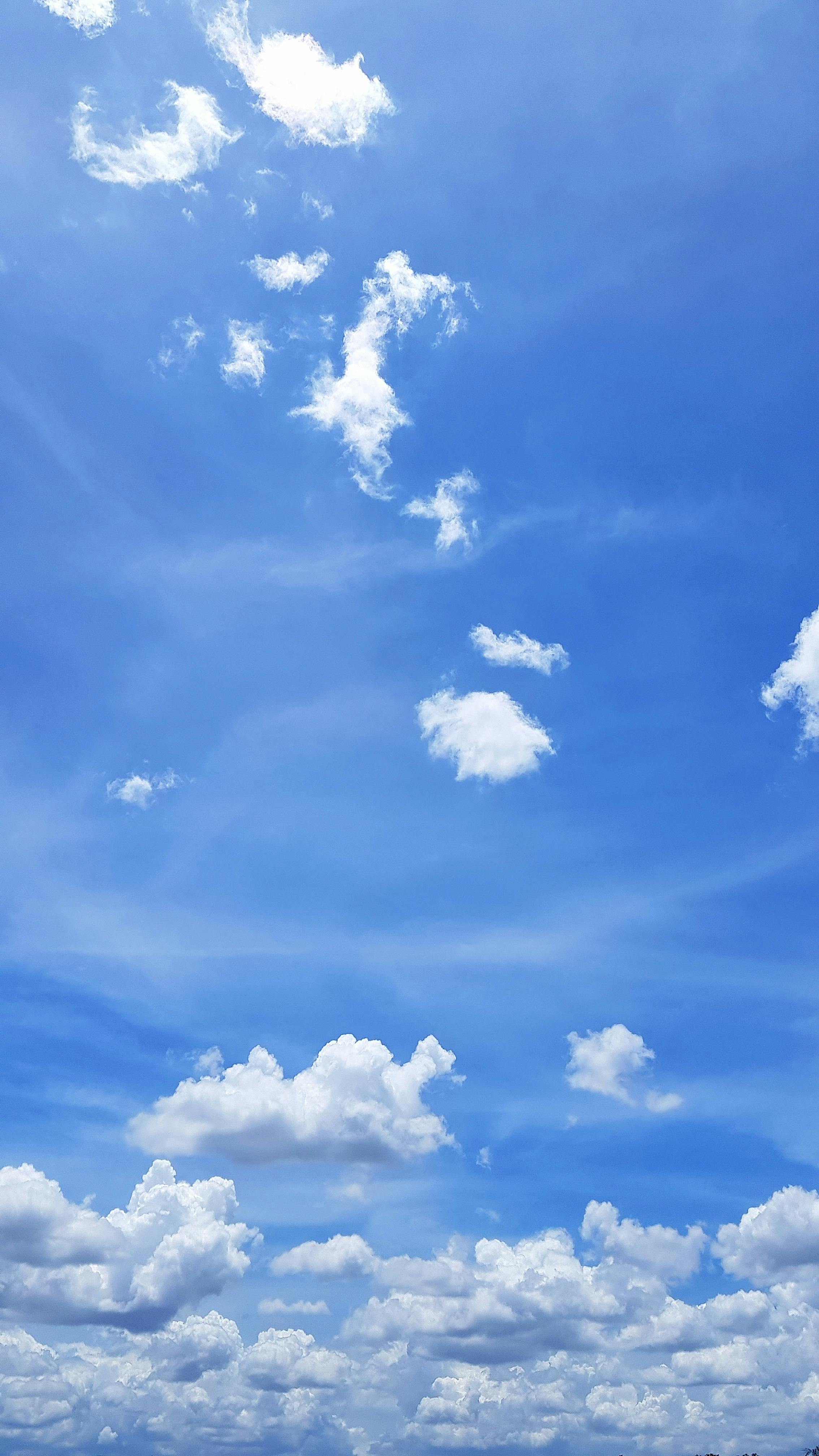 uono story - การถ่ายภาพ