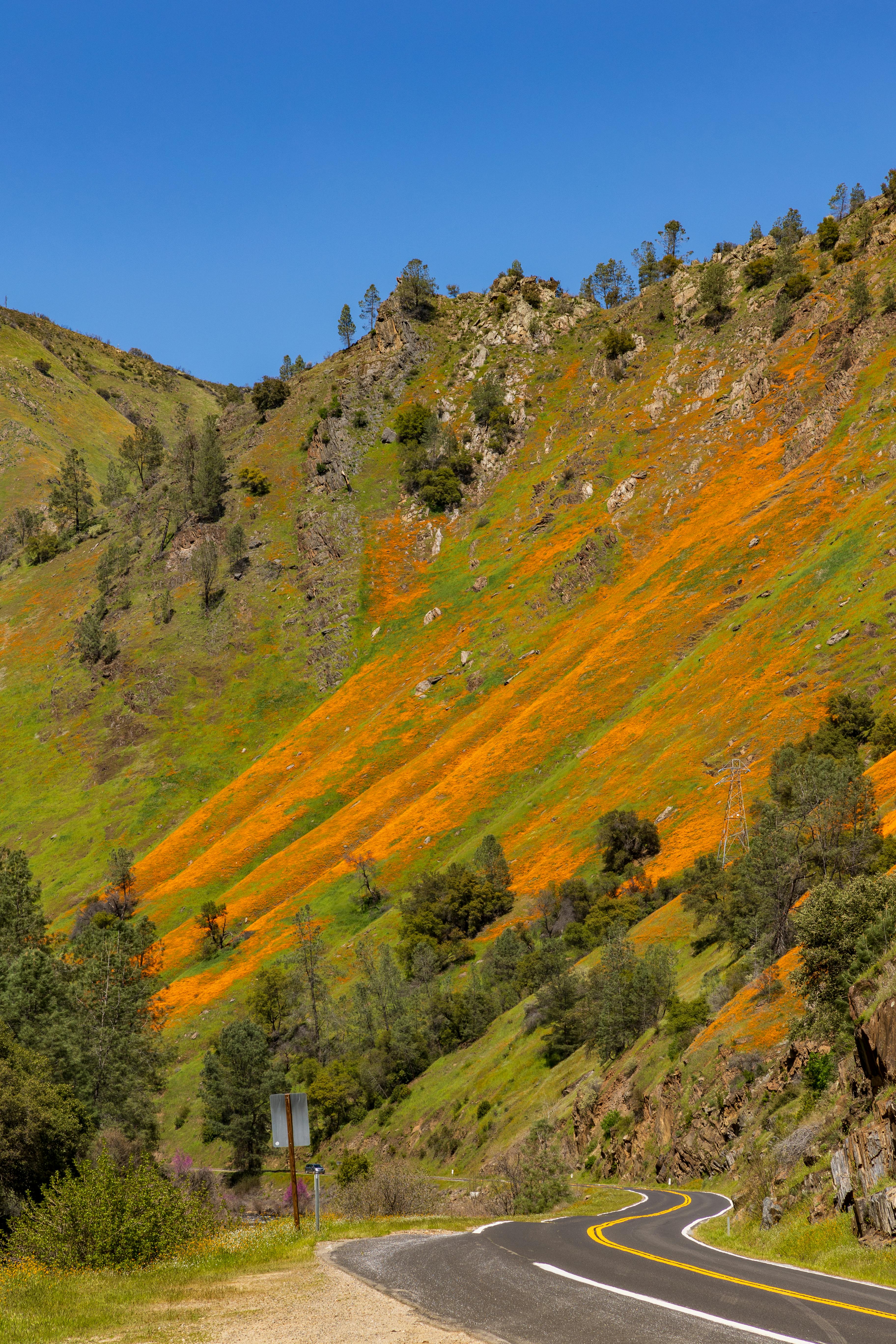 Asphalt Road on Mountainside · Free Stock Photo
