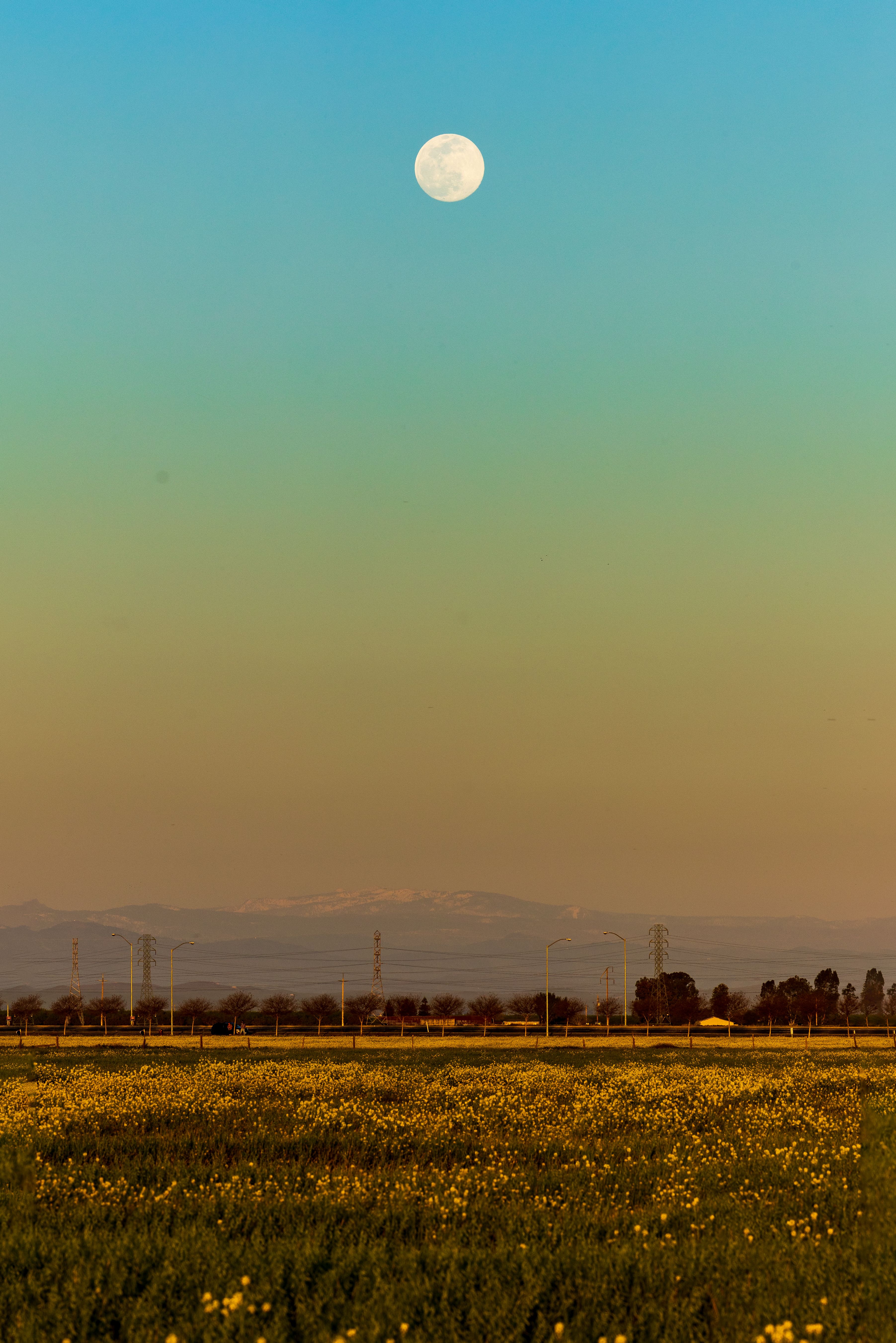 Full Moon Over the Grass Field · Free Stock Photo