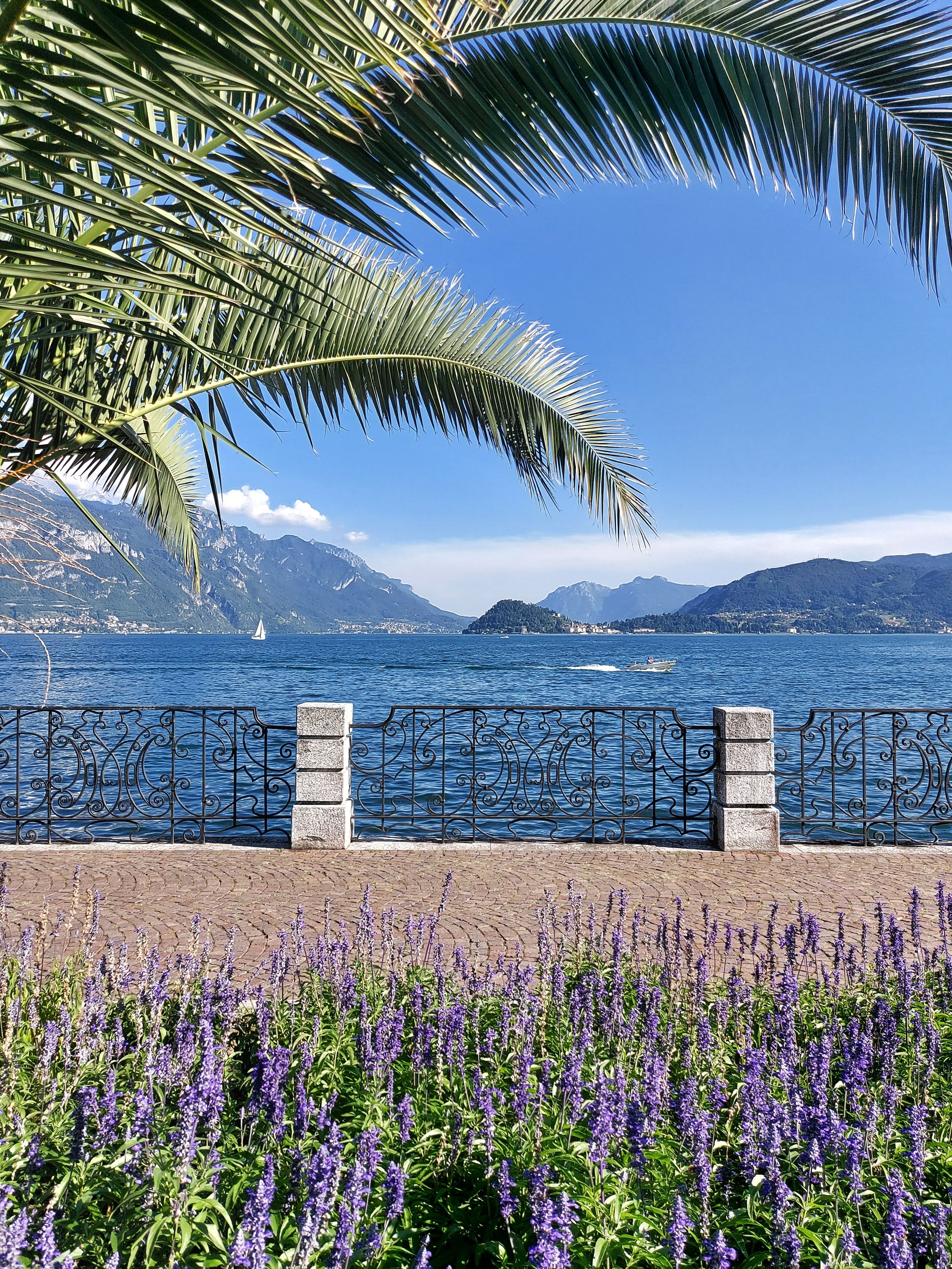 Scenic Lake Como View with Mountains and Flowers · Free Stock Photo