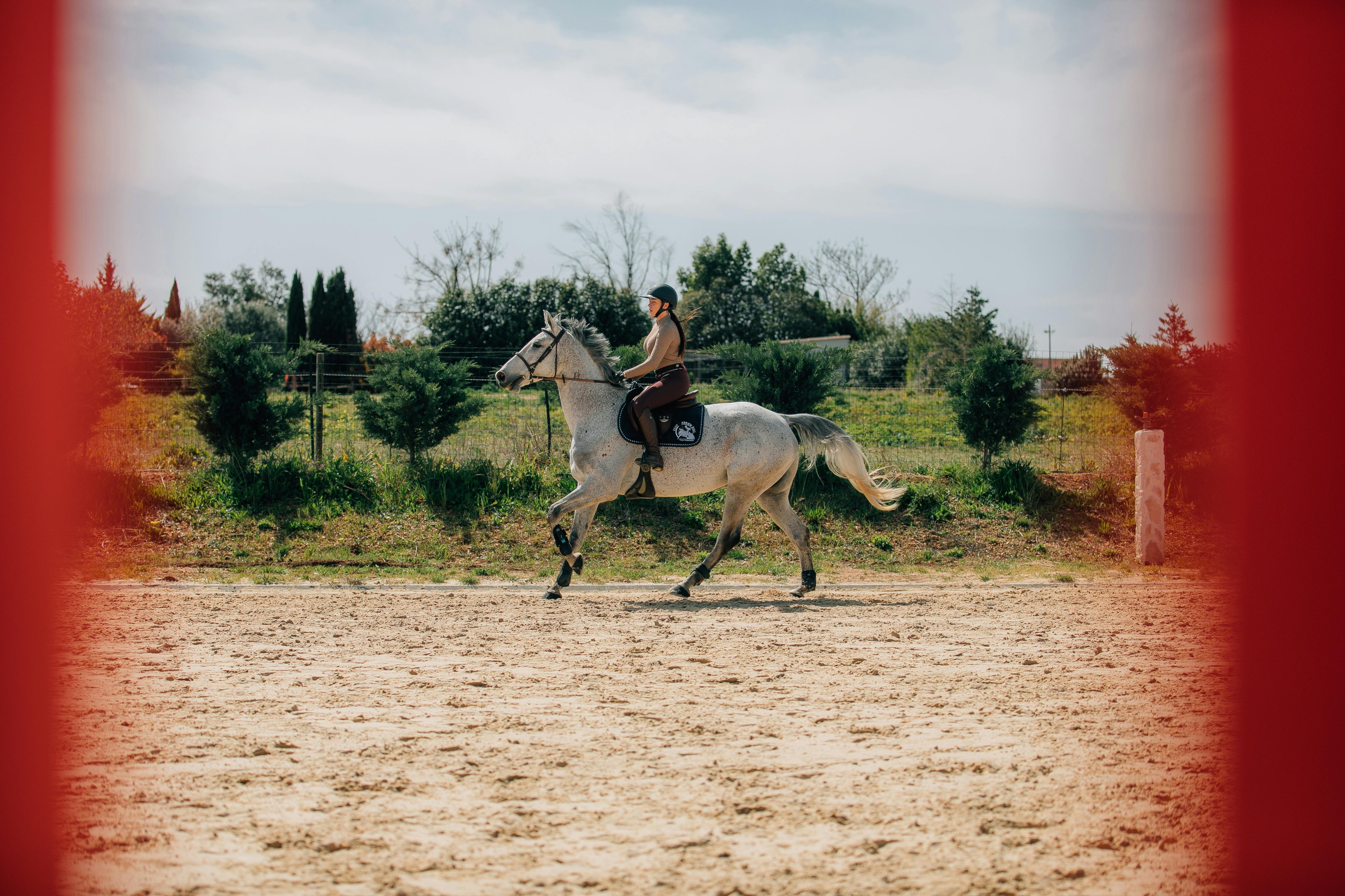 Rider On White Horse Photos, Download The BEST Free Rider On White ...