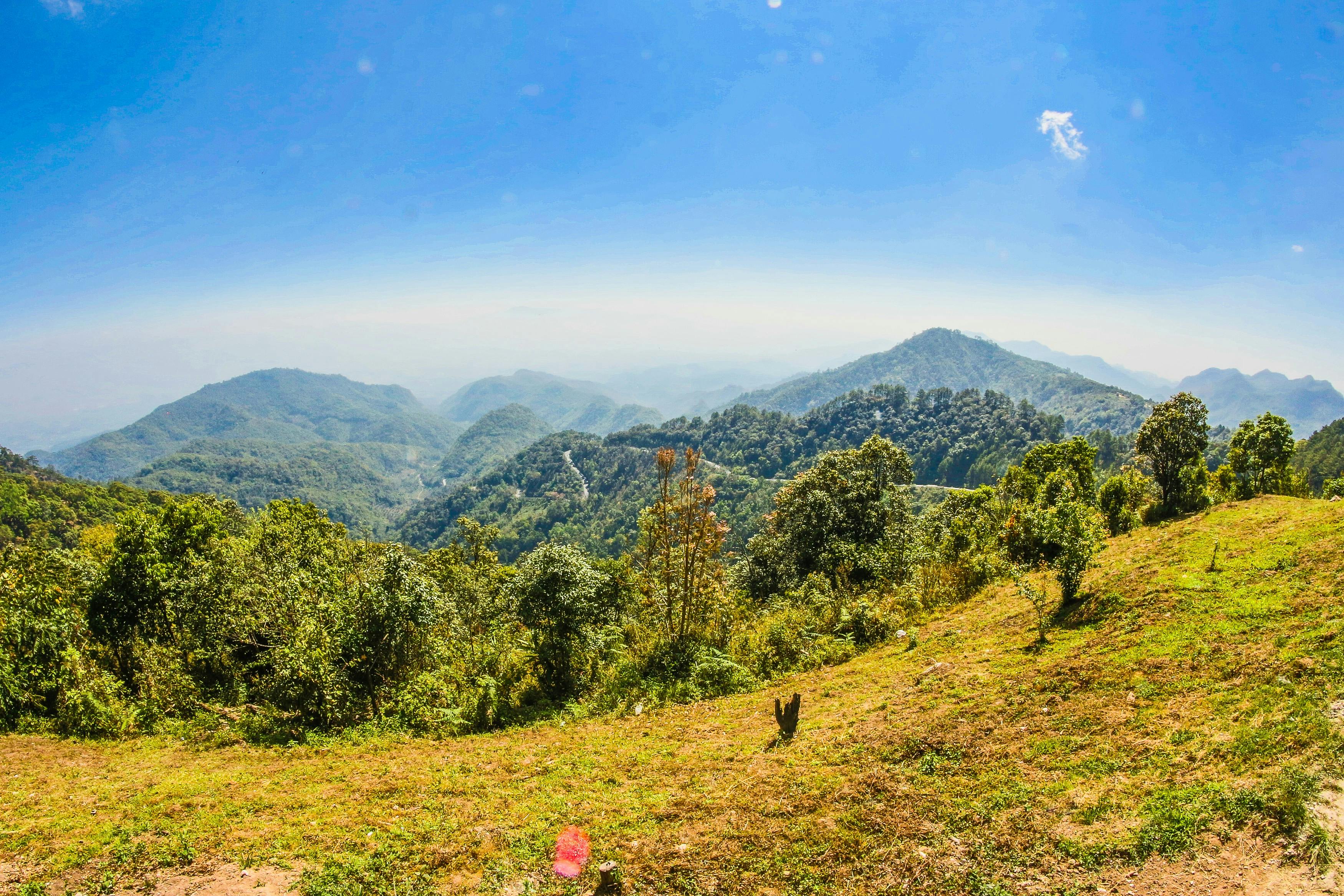 Landscape Photo of Tall Trees on Mountains at Daytime · Free Stock Photo