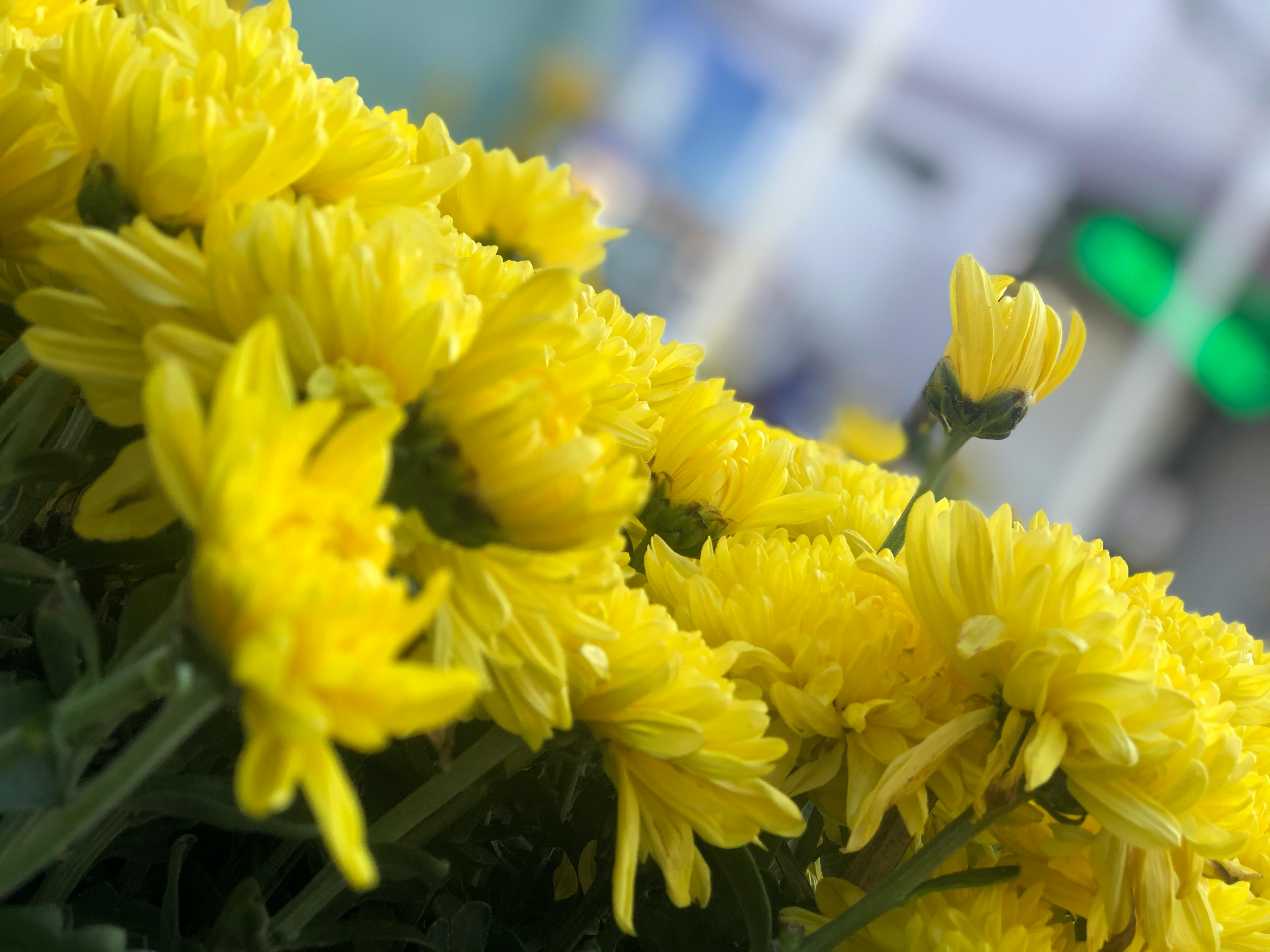 Ninh Kieu Whaft Photos, Download The BEST Free Ninh Kieu Whaft Stock ...