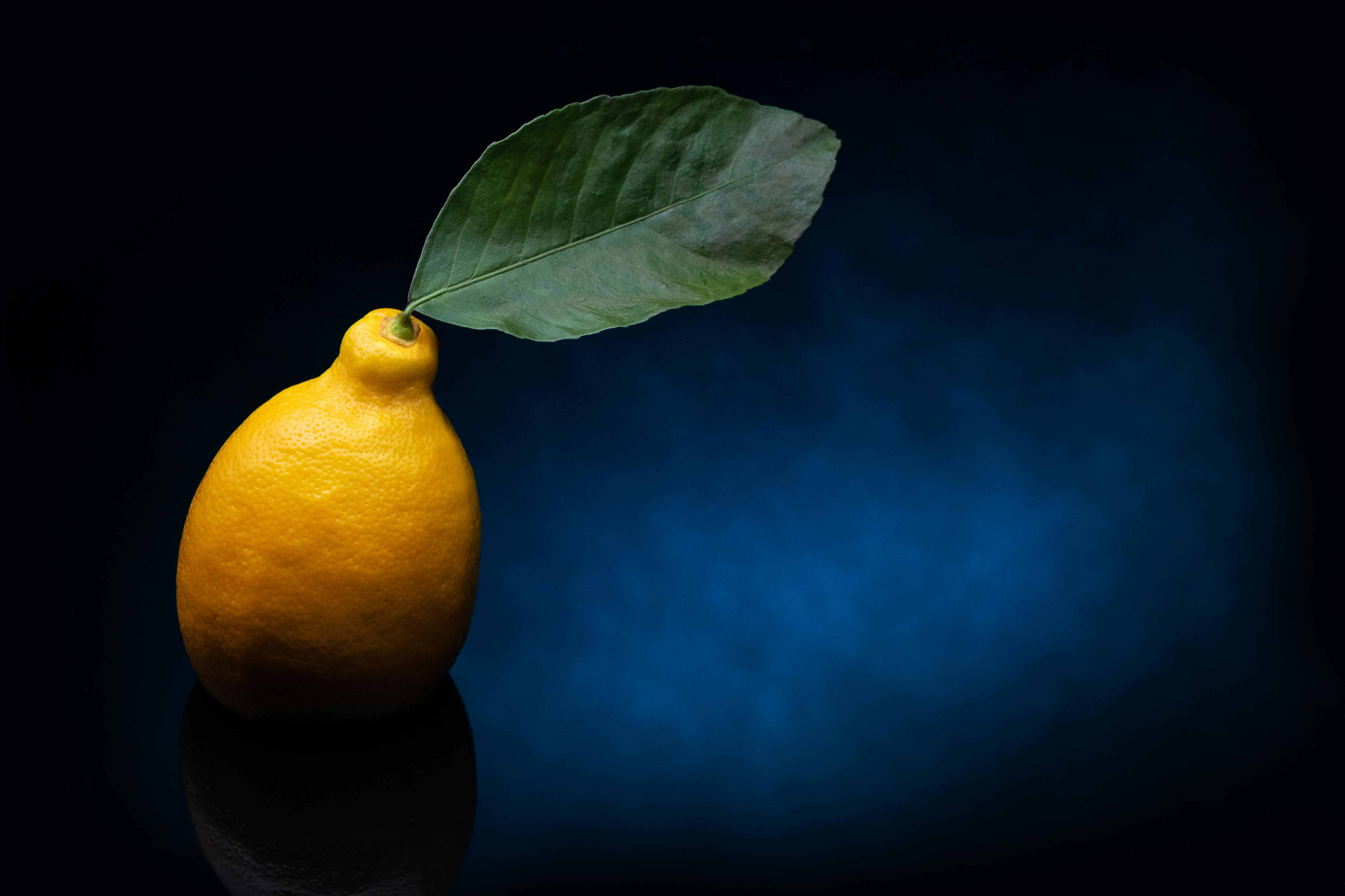 Close up of a Lemon · Free Stock Photo